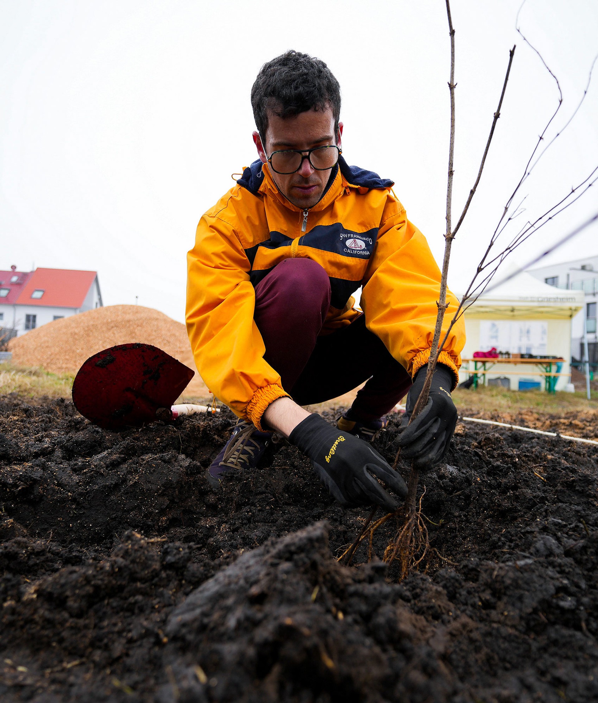Griesheim Community Forest | SUGi