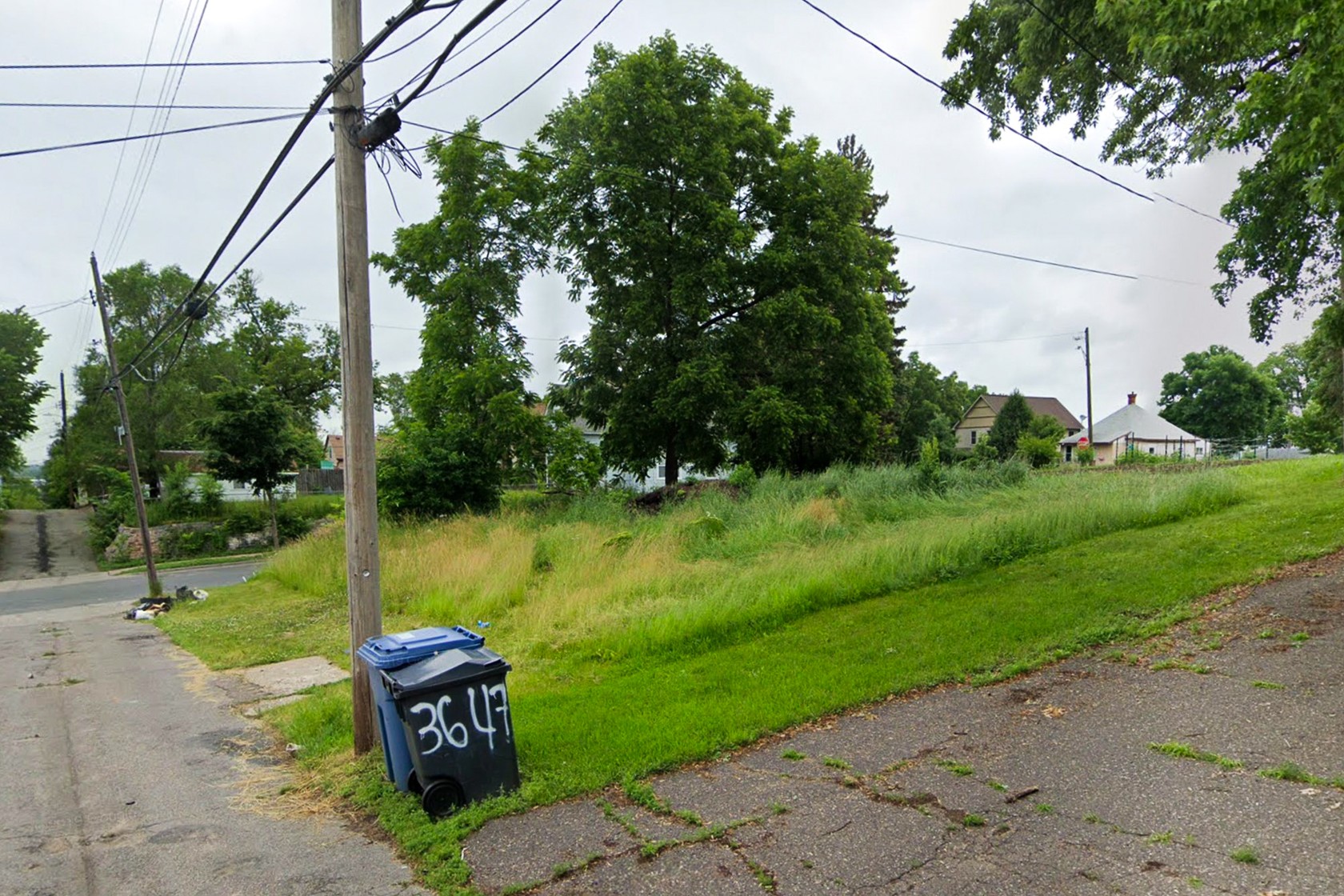 Northside Healing Forest | SUGi