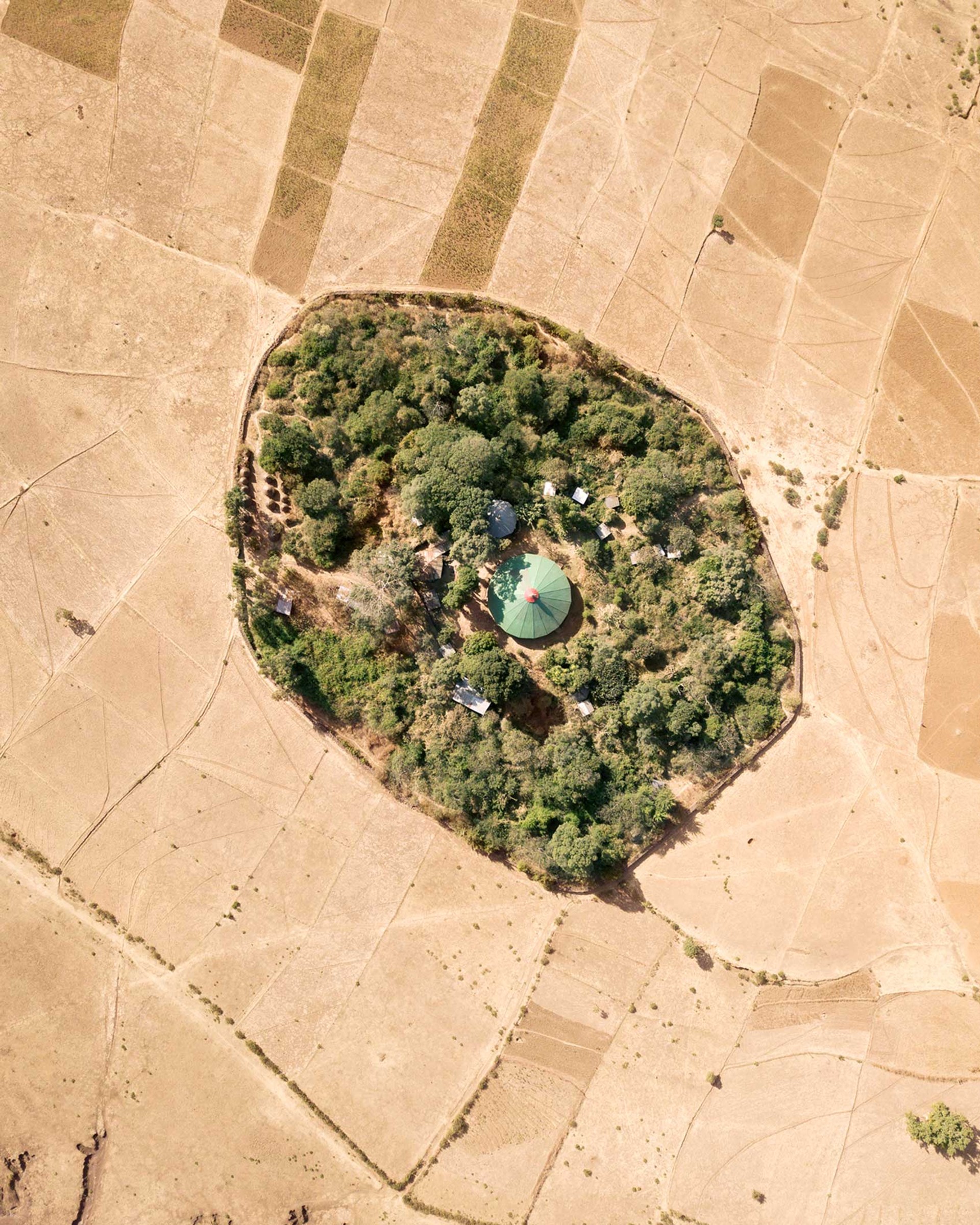 Church Forest, Ethiopia | SUGi