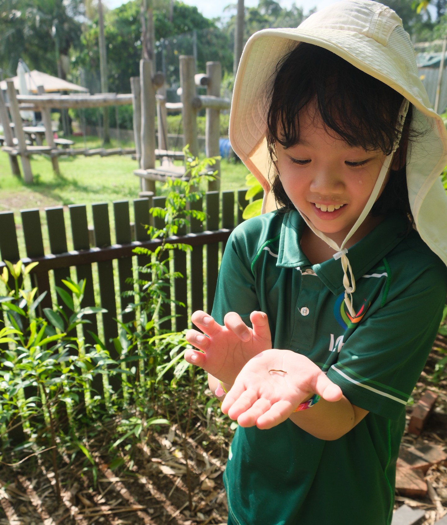 ICHK Hong Lok Yuen Forest | SUGi