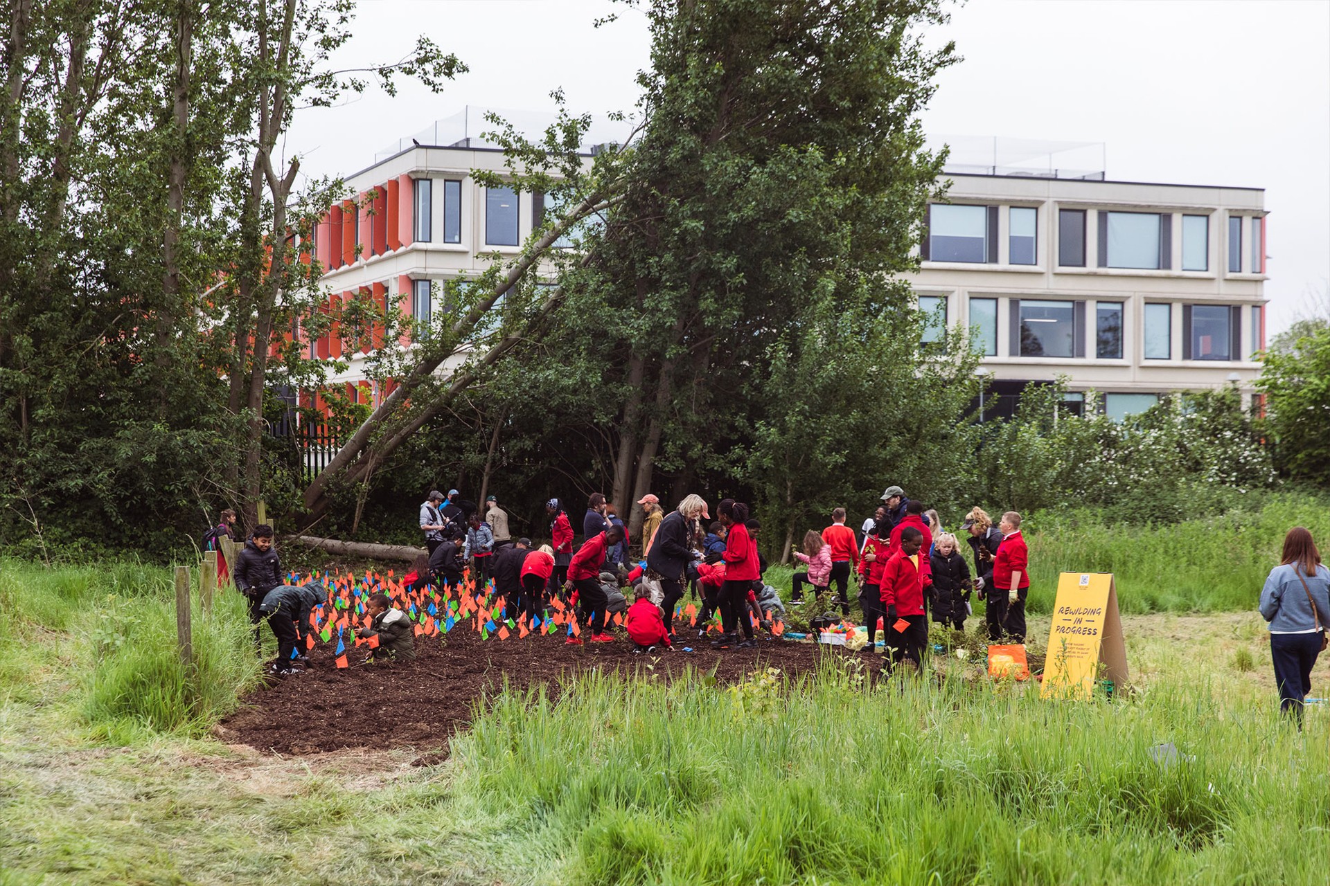 Harmony Forest | SUGi