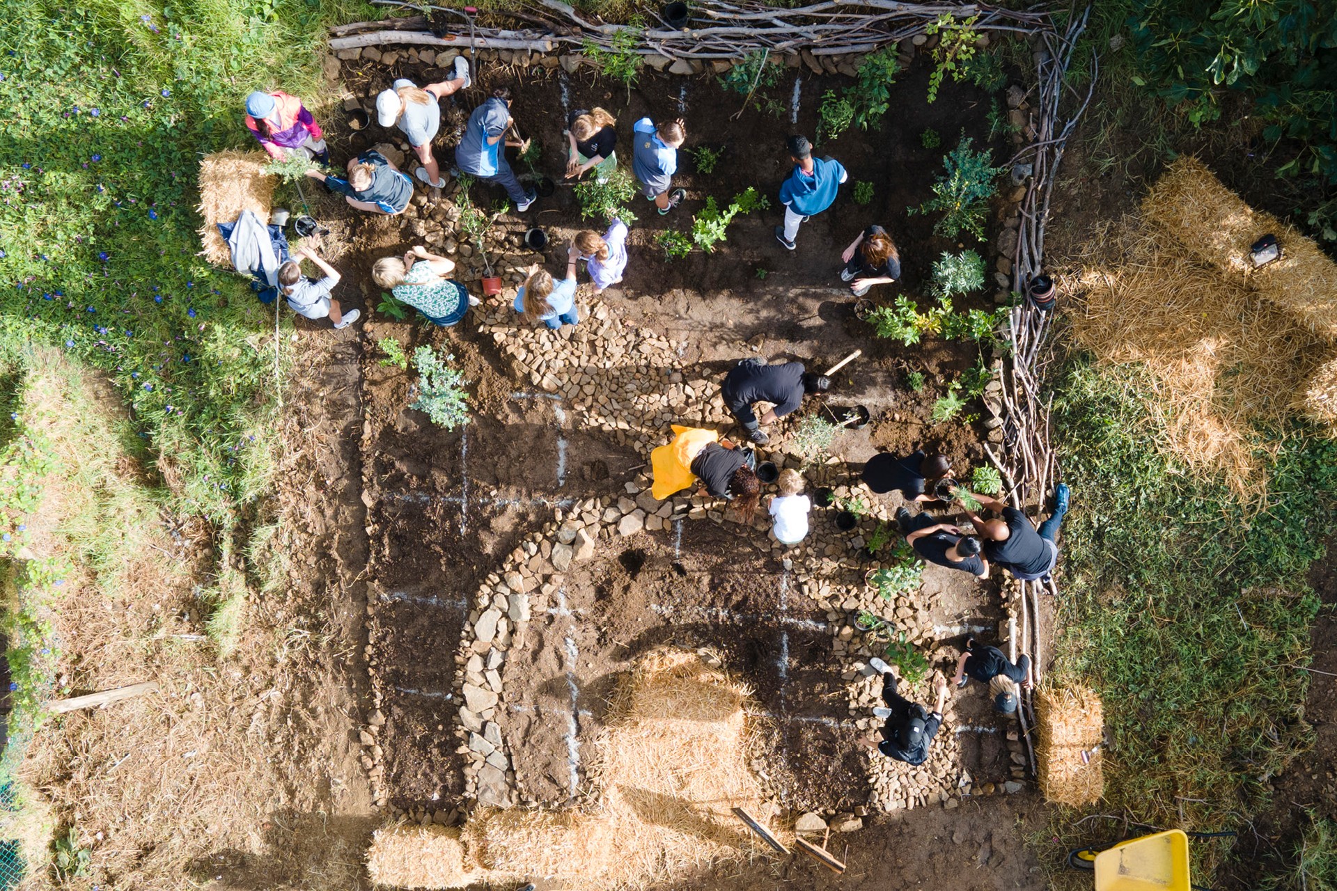 SUGi Pocket Forests – Cape Town | SUGi