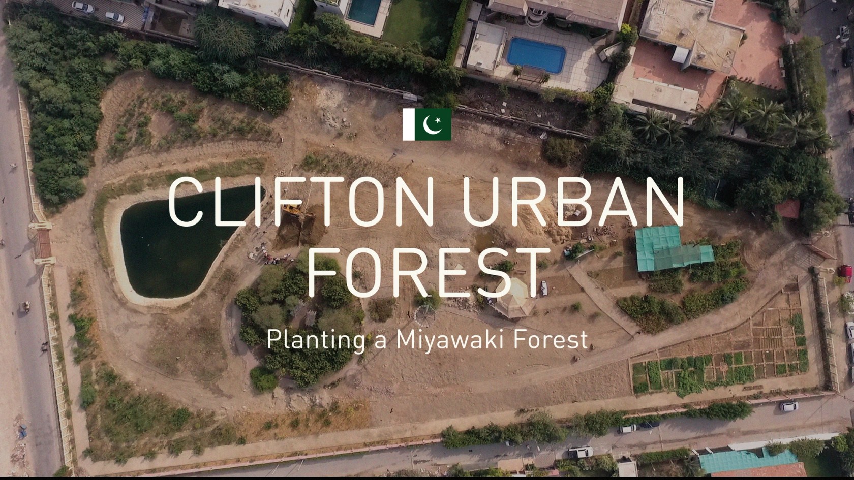 Clifton Urban Forest Sugi