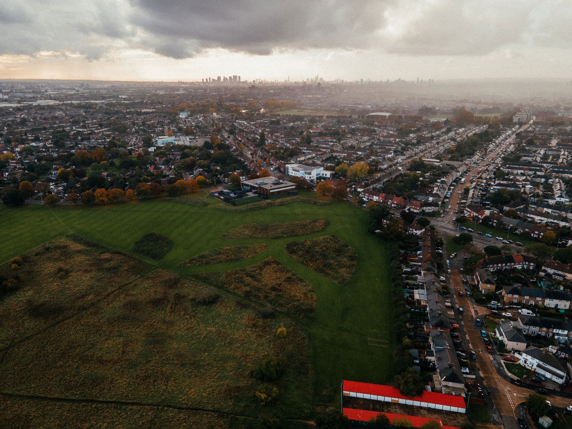 Forest of Thanks | SUGi