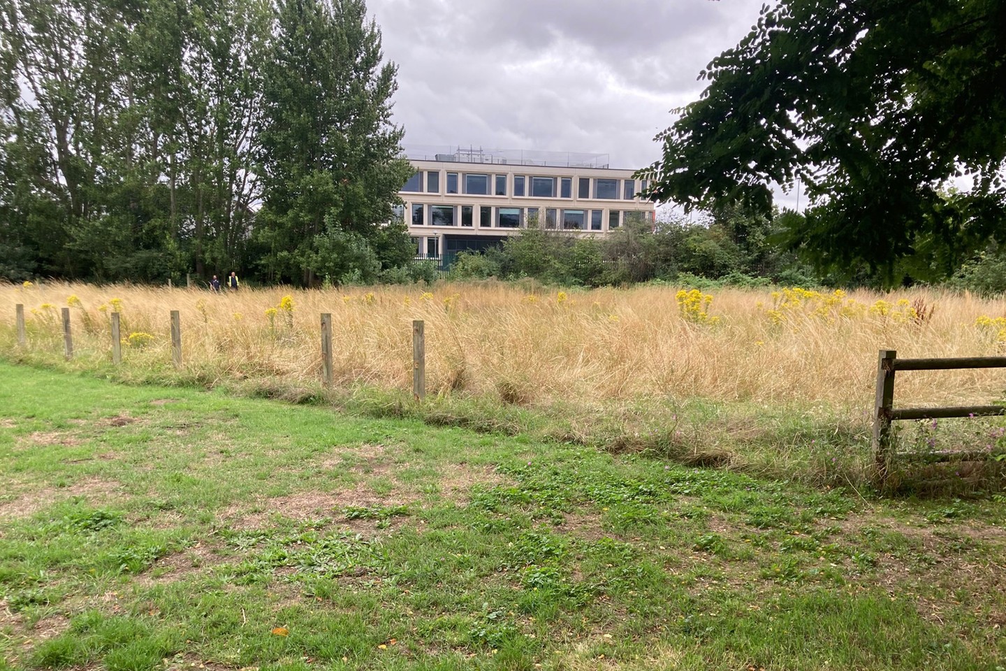 Harmony Forest | SUGi