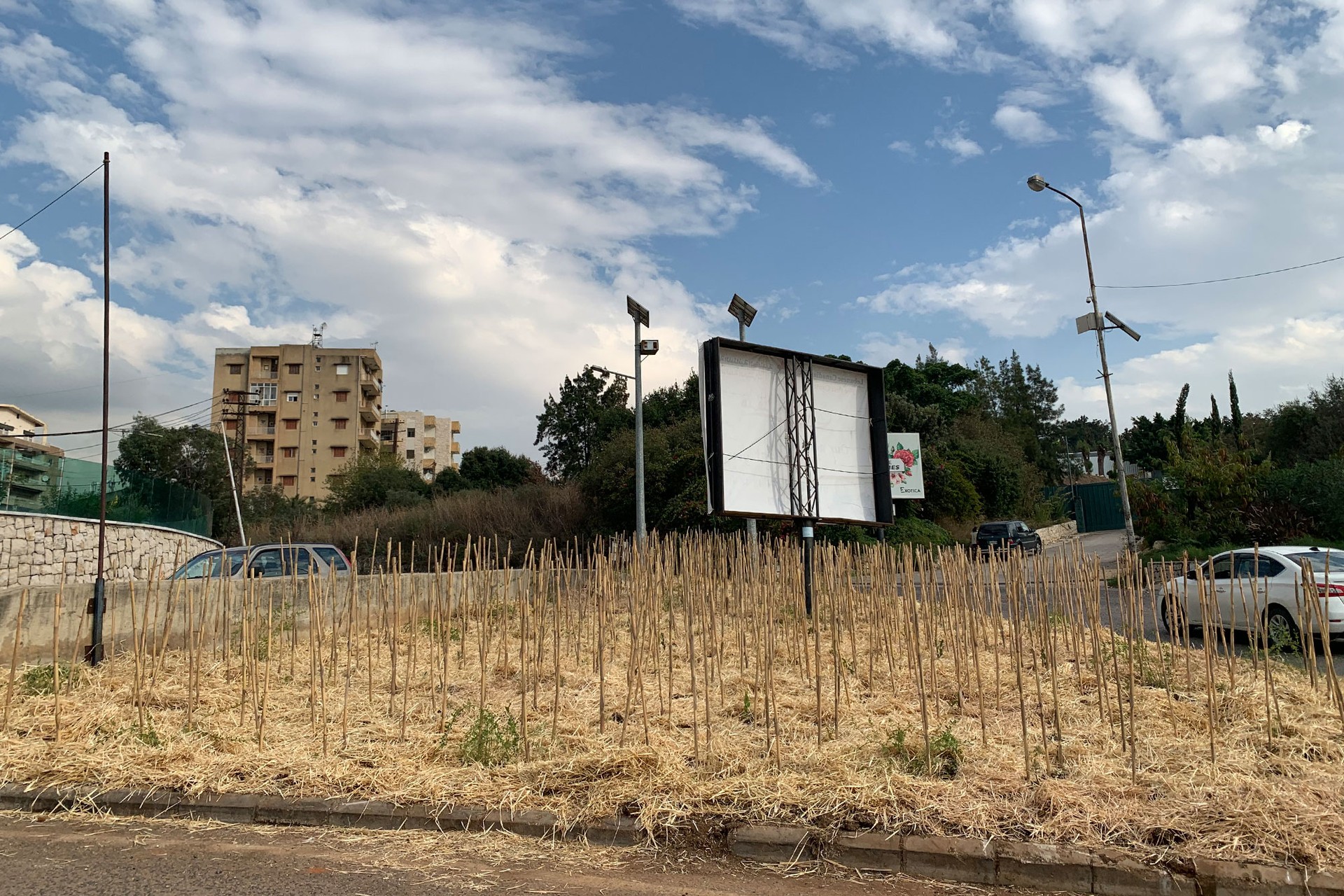 Power Plant Forest | SUGi