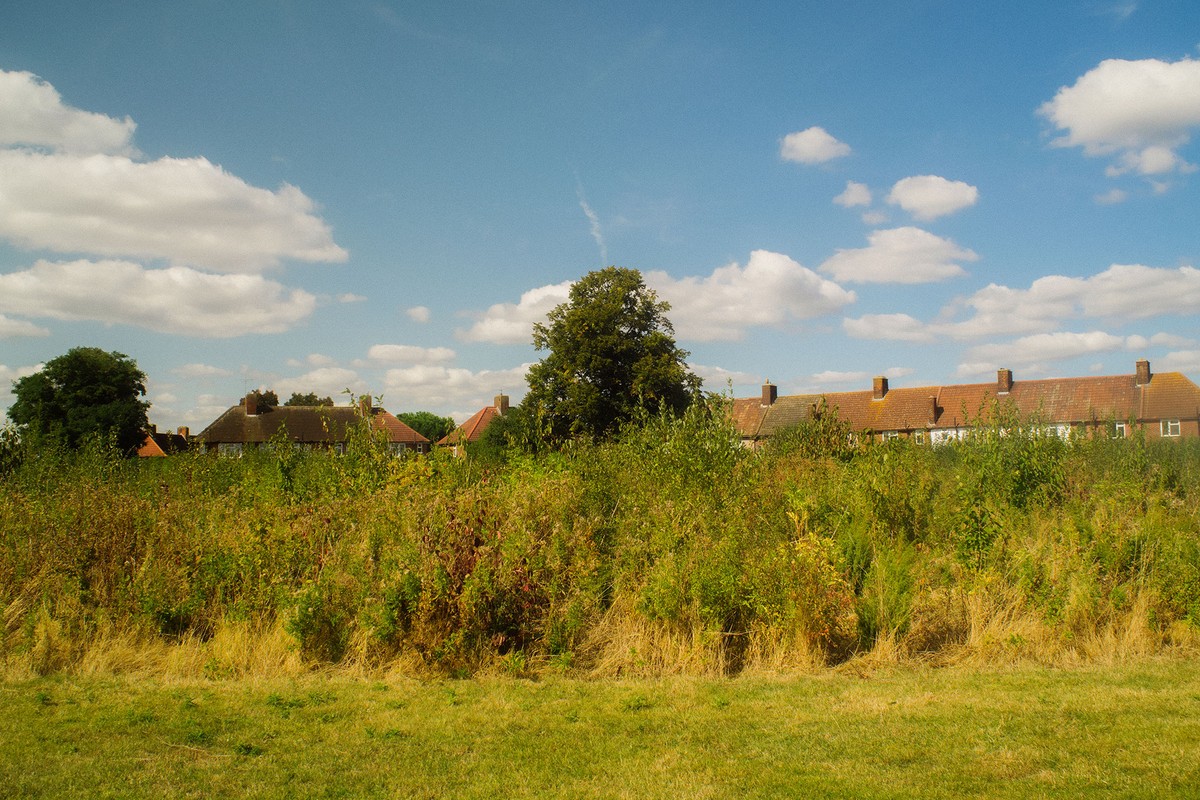 Forest of Thanks | SUGi