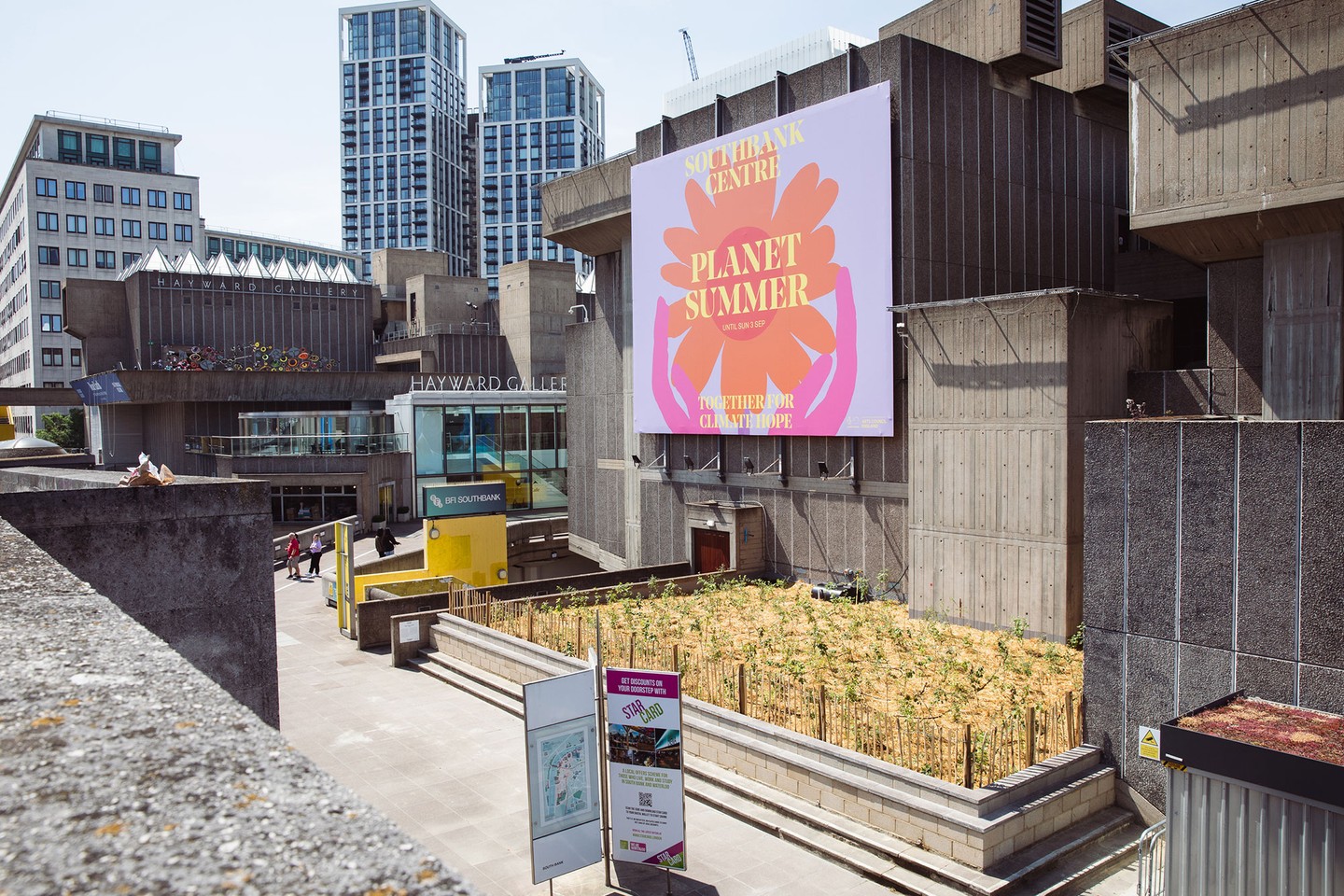 Urban Trees Grow Faster | SUGi