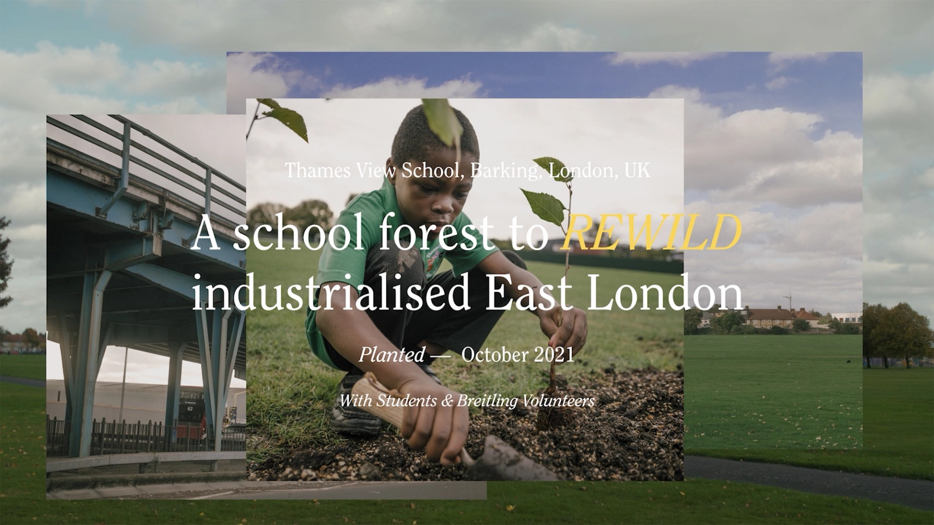 Thames View Forest | SUGi