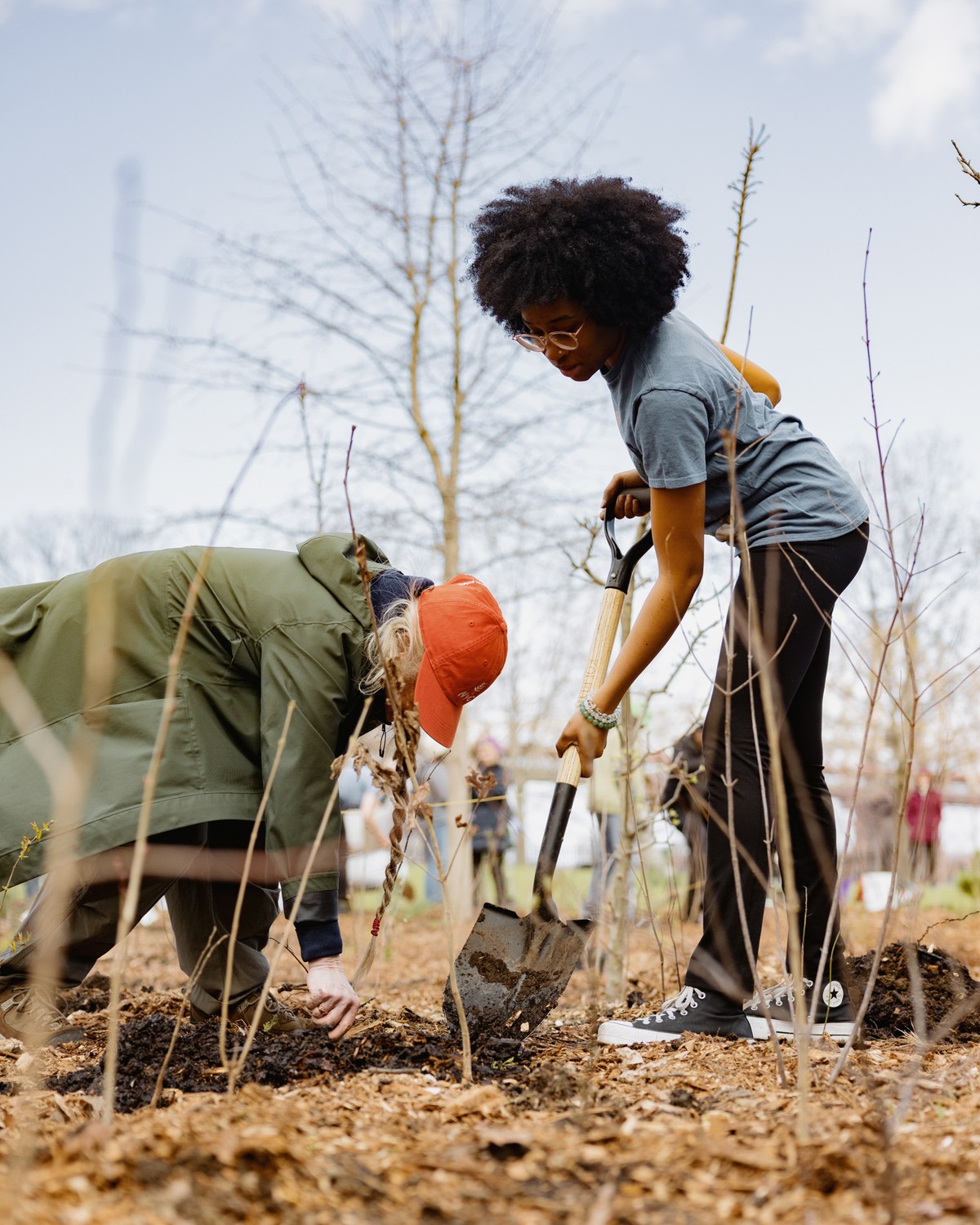 Manhattan Healing Forest | SUGi