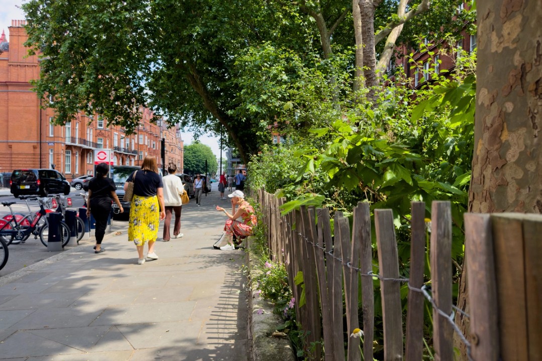 Heritage Forest | SUGi