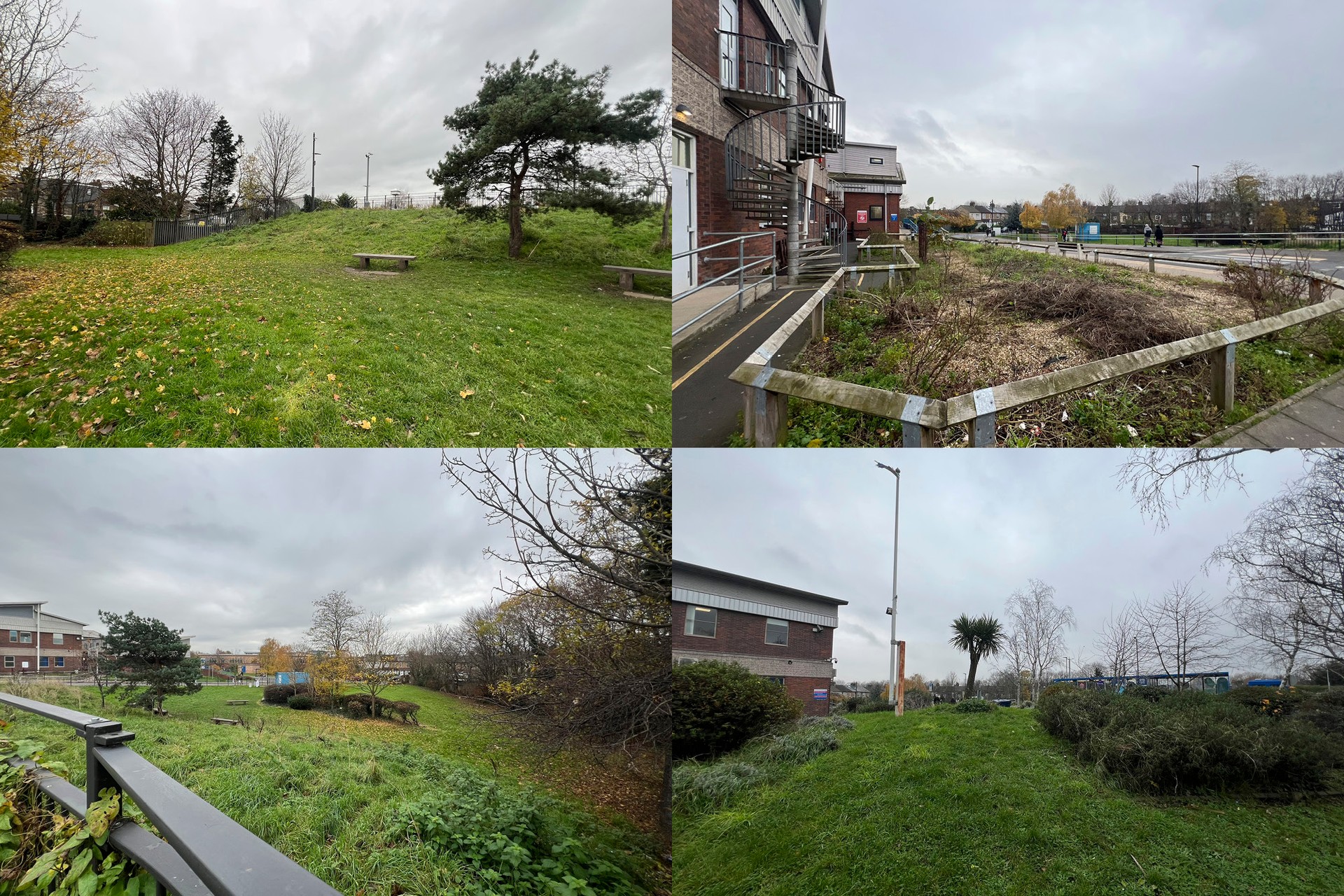 Newham Hospital Forest | SUGi