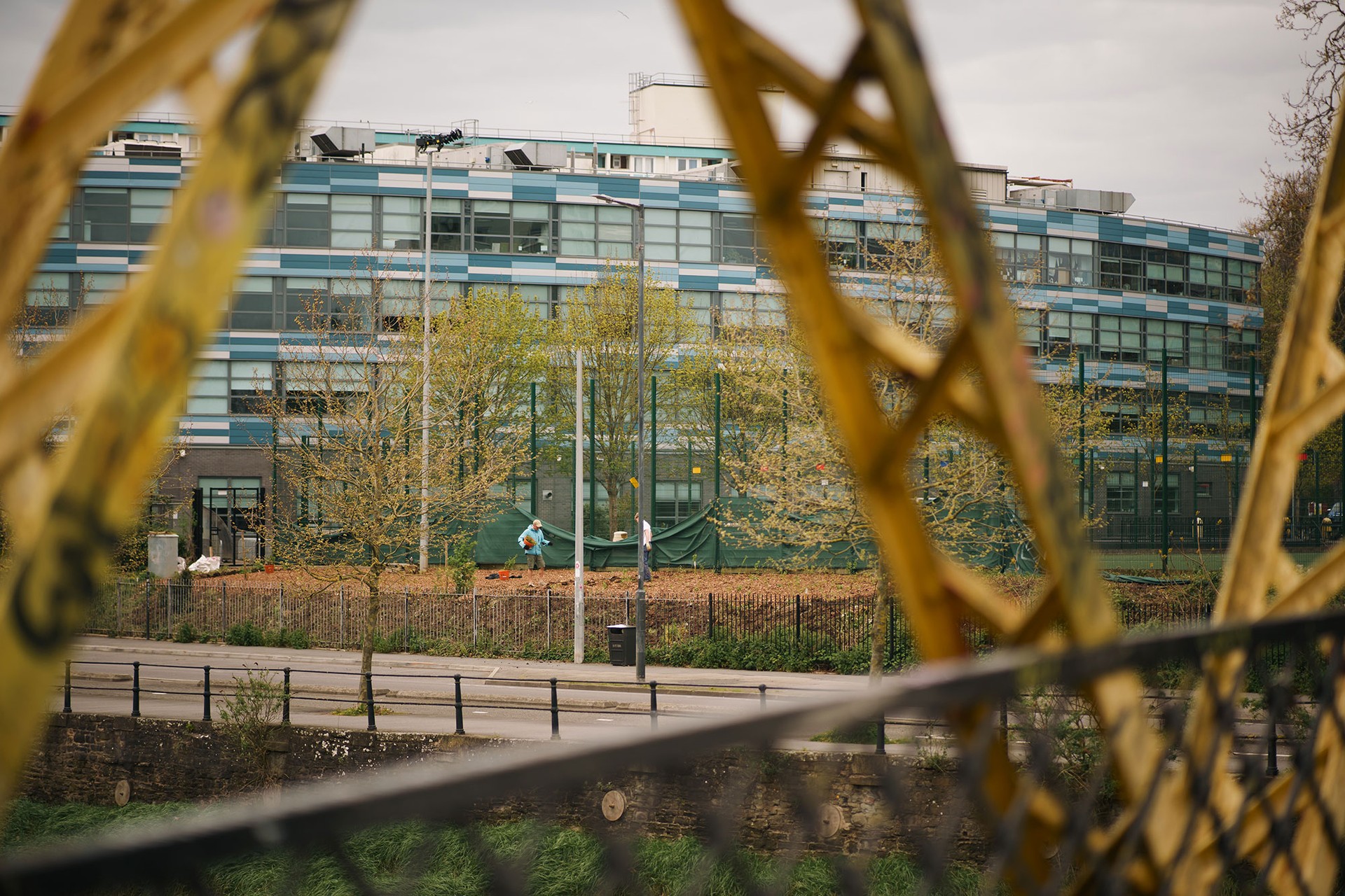 Bristol — Natura Nostra Forest | SUGi