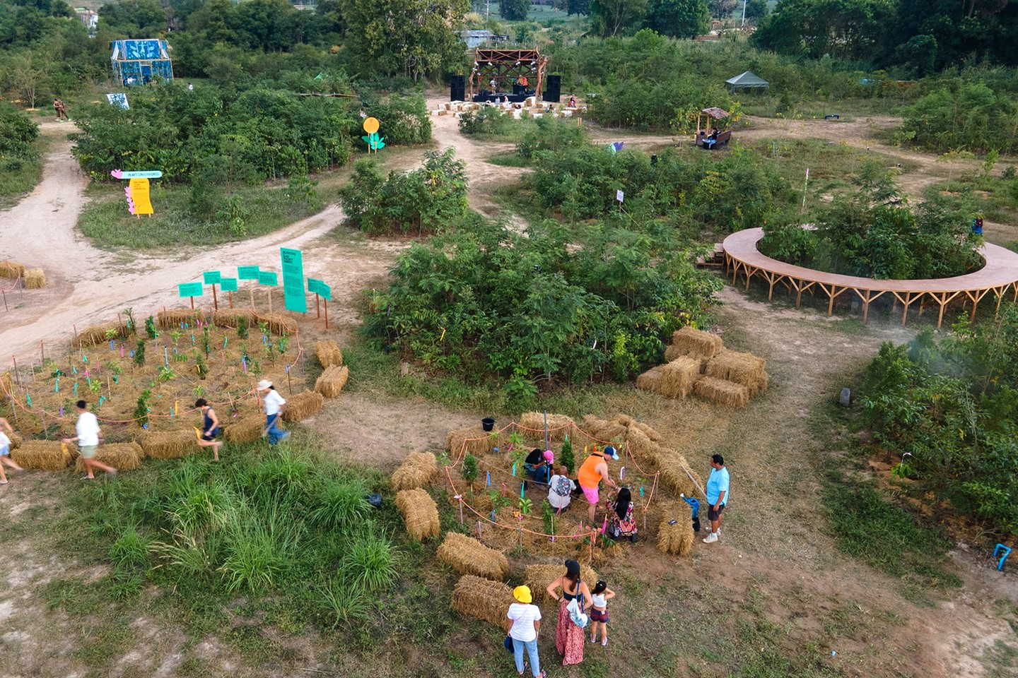 Ancestral Forest | SUGi