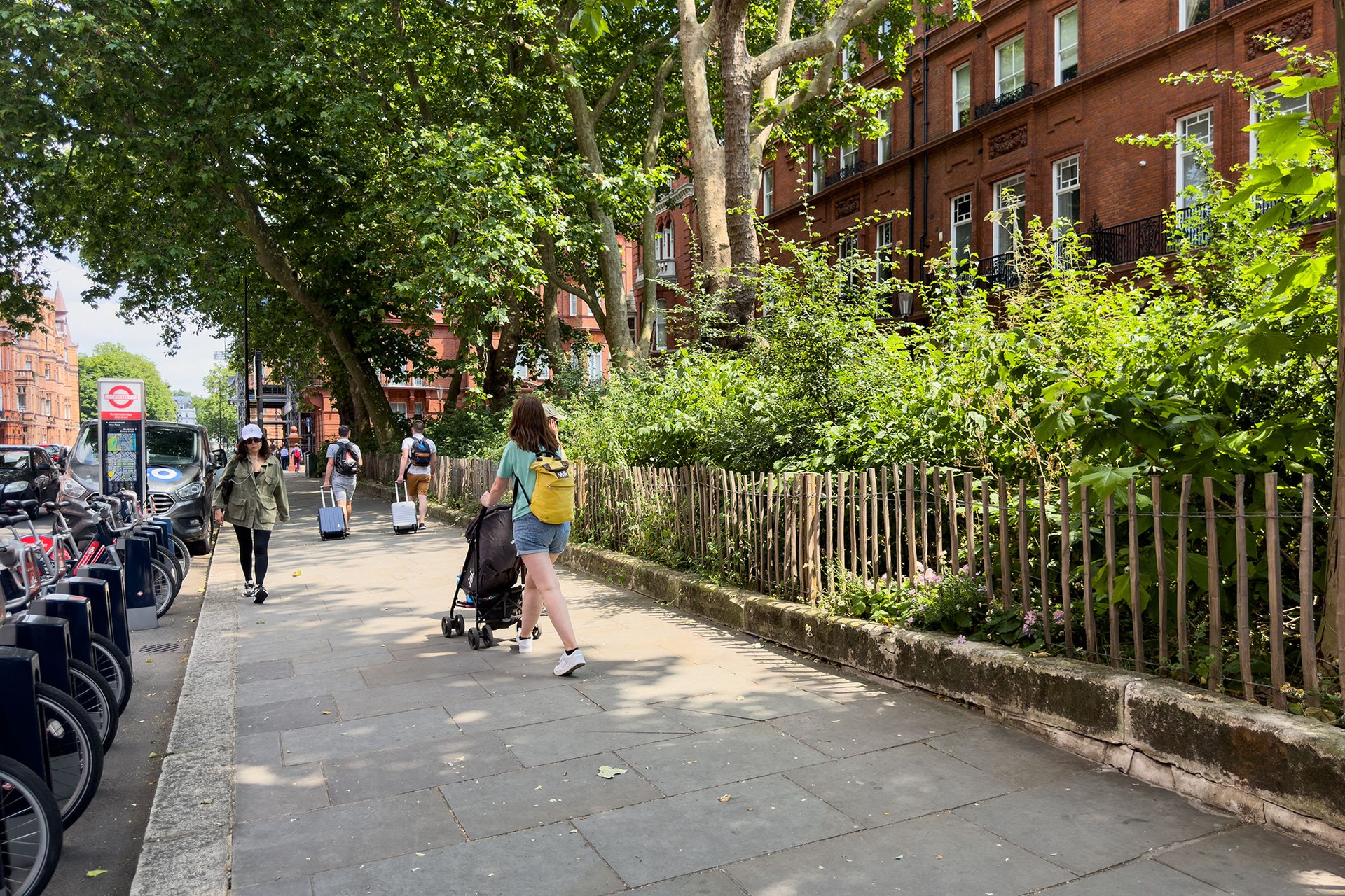 Support Sustainable Biodiverse Forests with SUGi