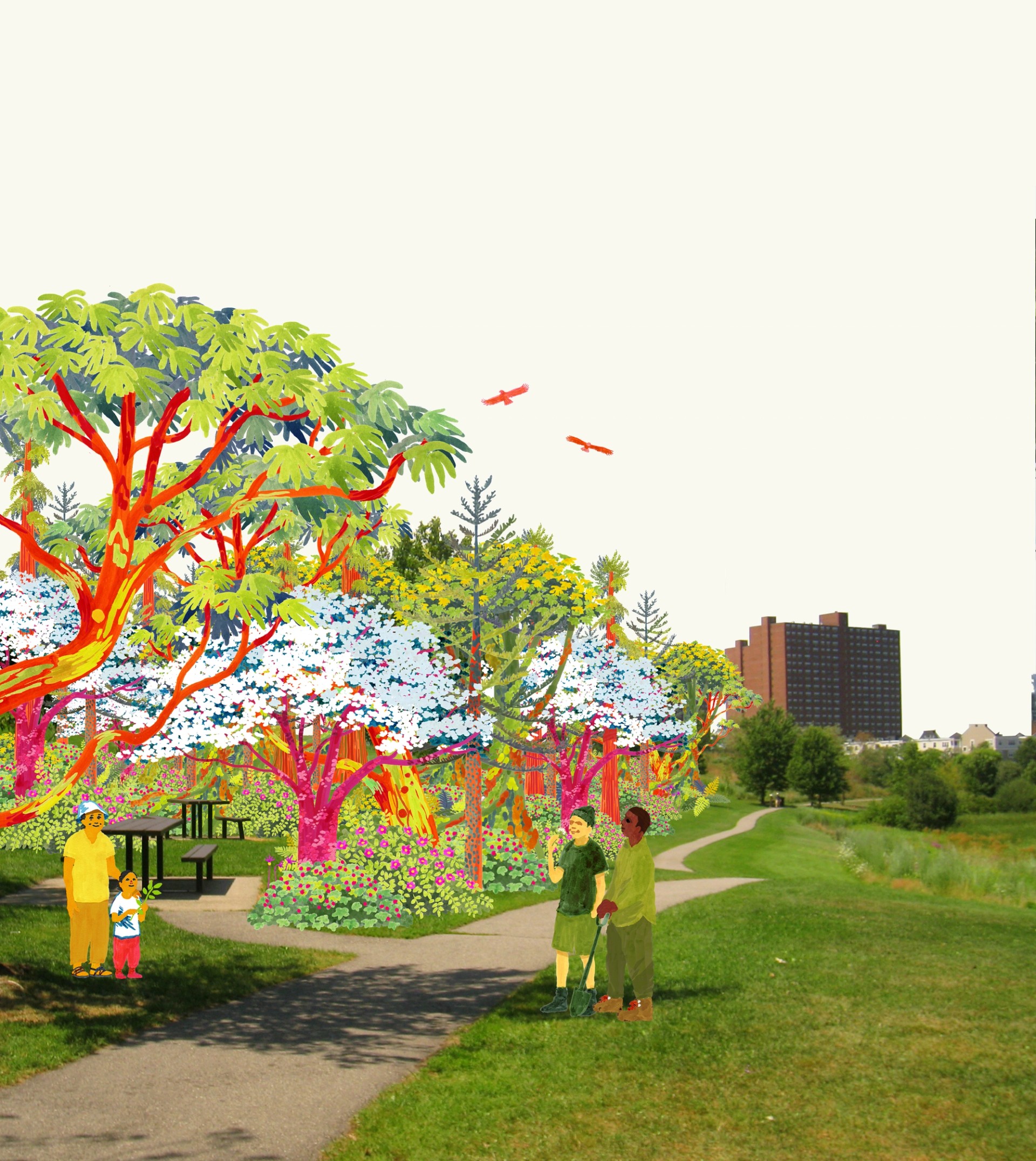 Danehy Park Forest | SUGi