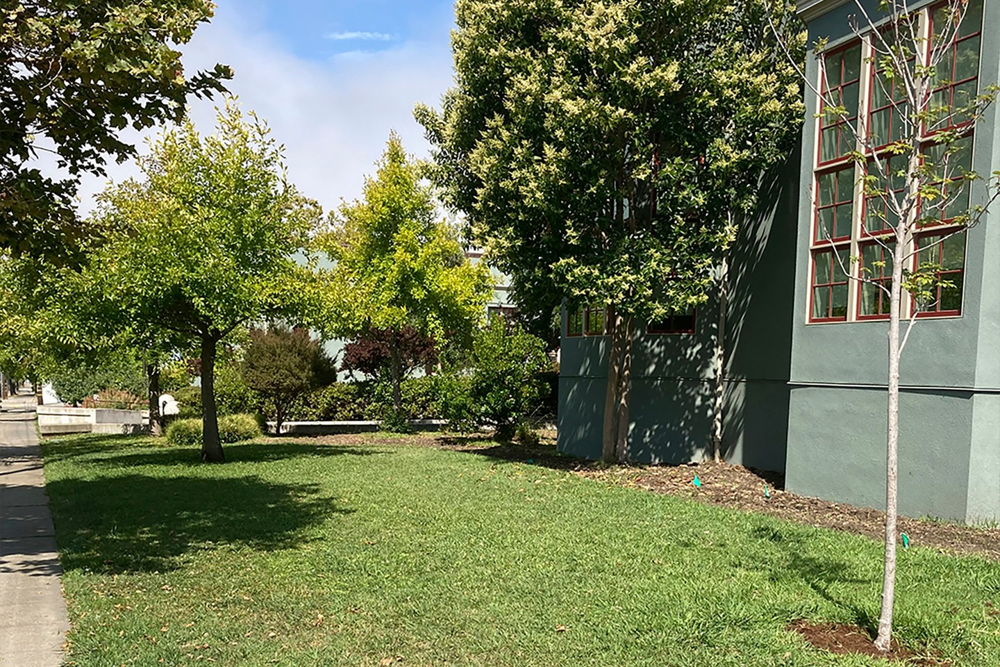 Malcolm X Elementary | SUGi