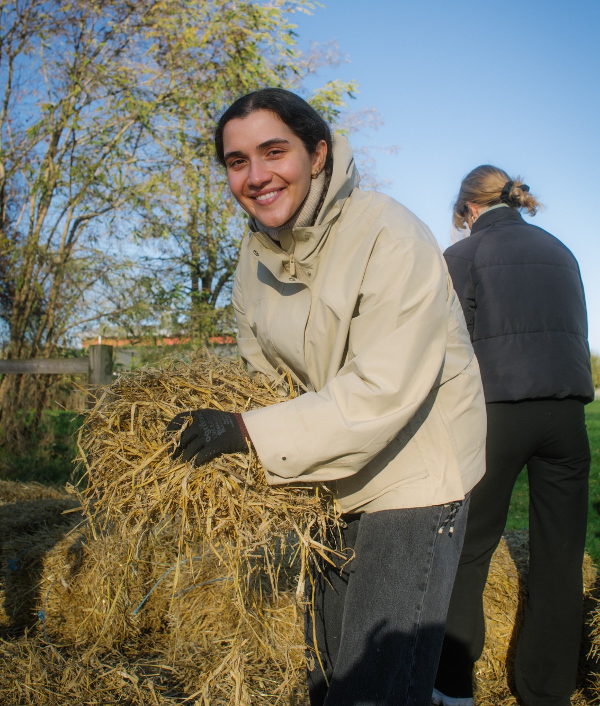 Harmony Forest | SUGi