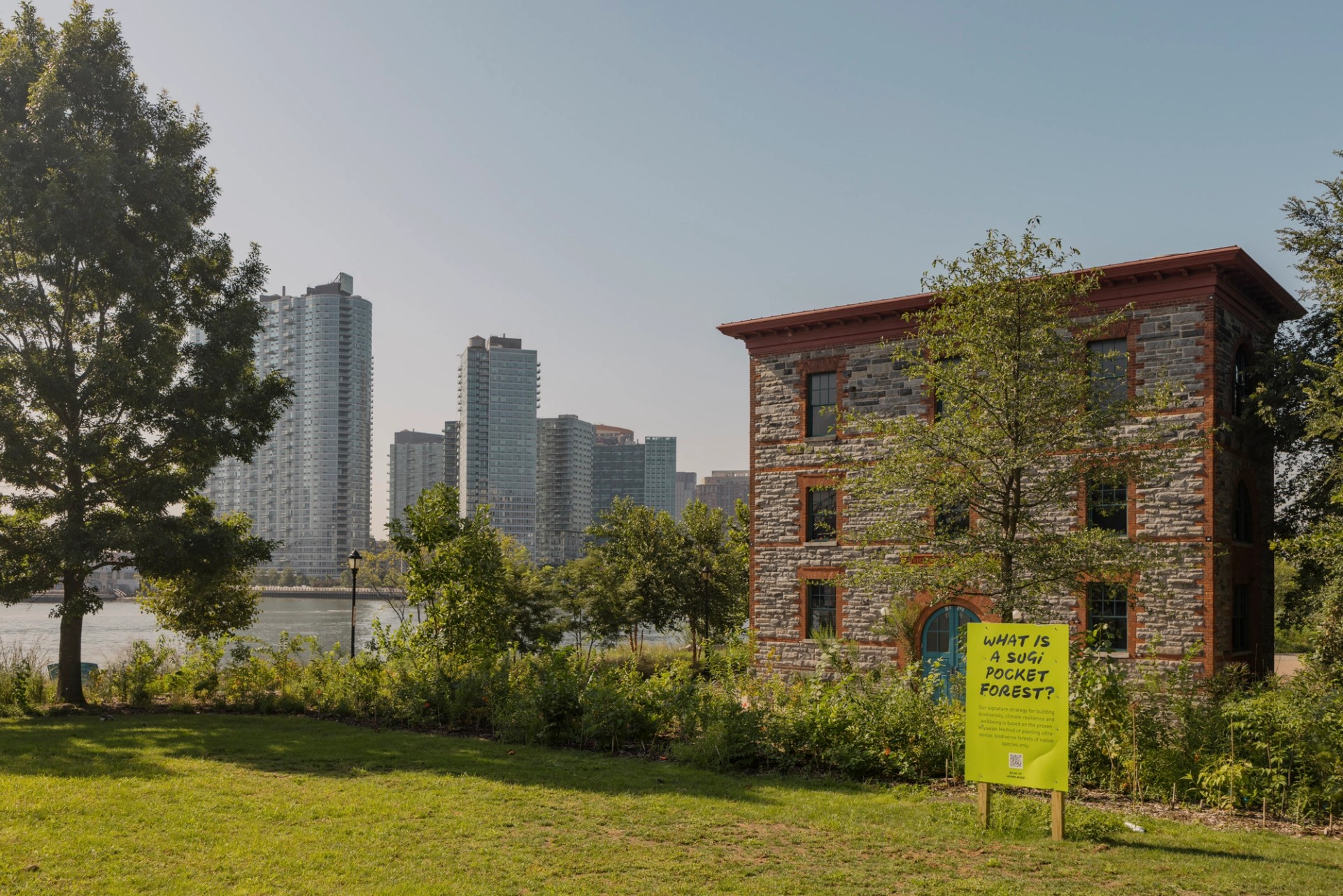 Manhattan Healing Forest | SUGi