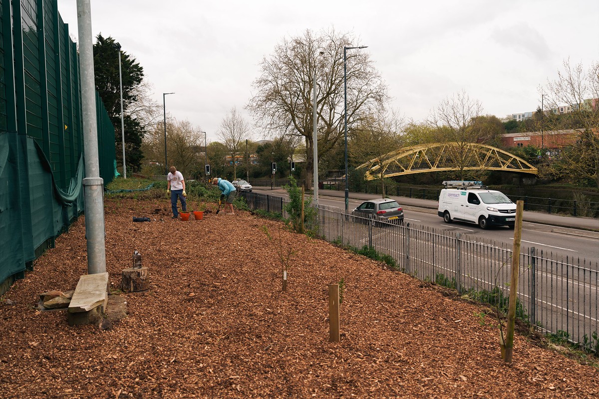 Bristol — Natura Nostra Forest | SUGi