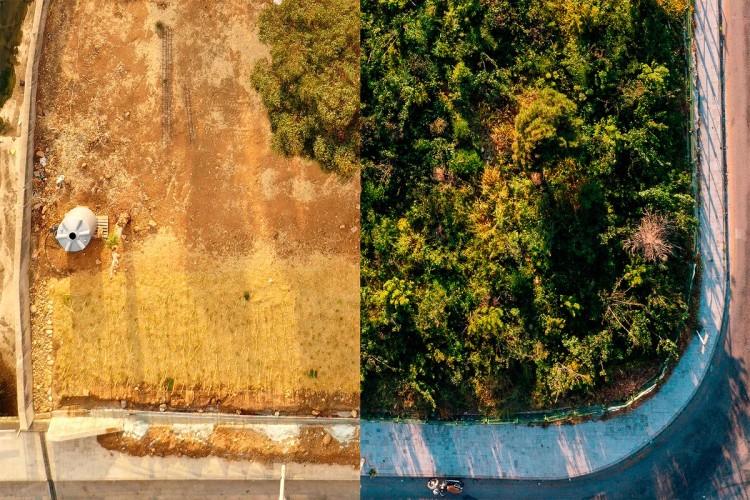 The Miyawaki Method for Creating Forests | SUGi