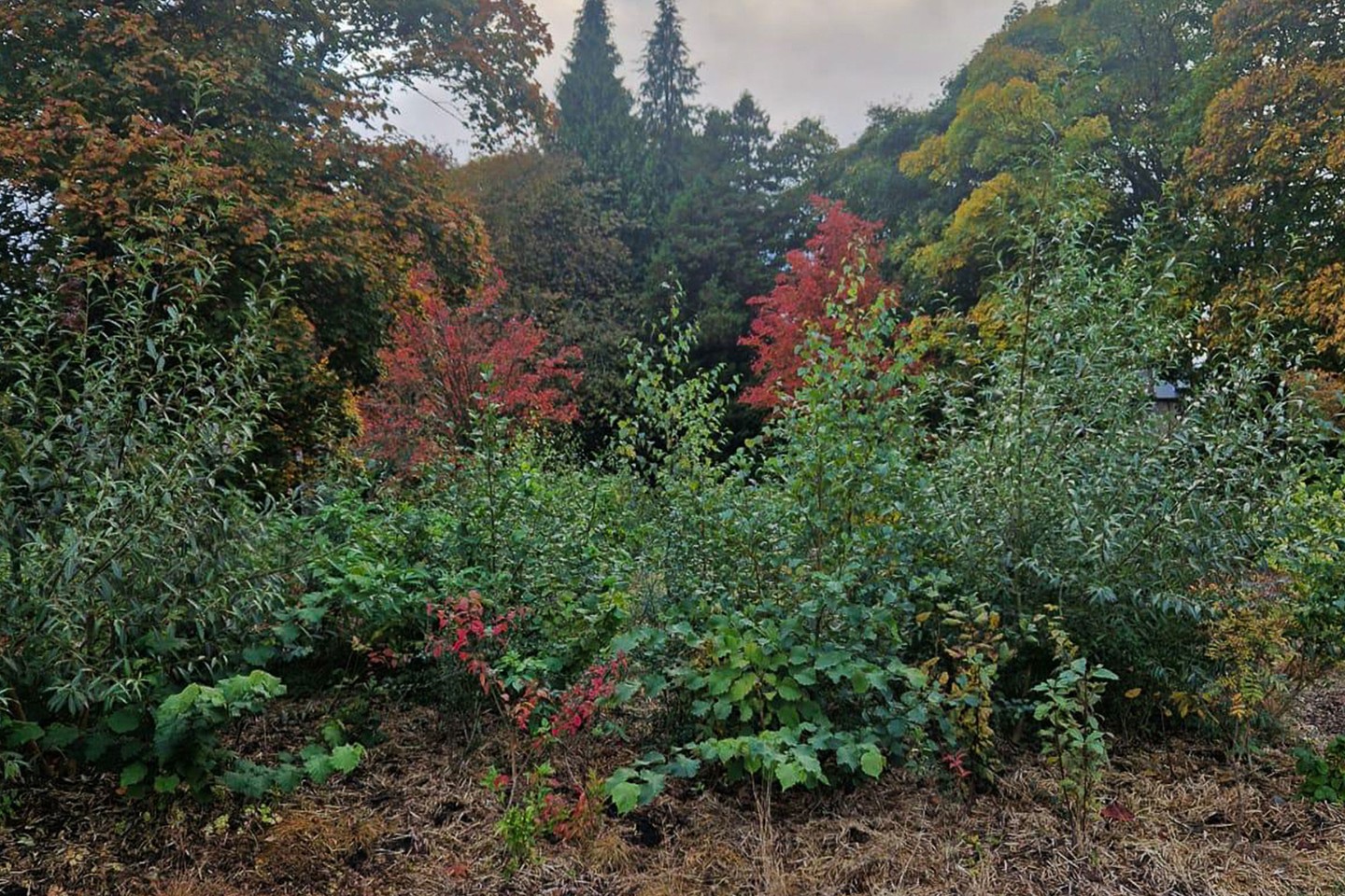 R&Co4Generations | SUGi