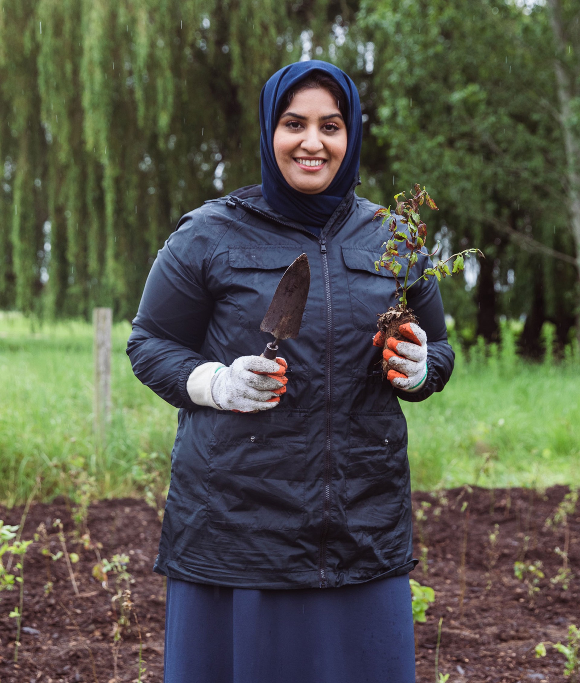 Harmony Forest | SUGi