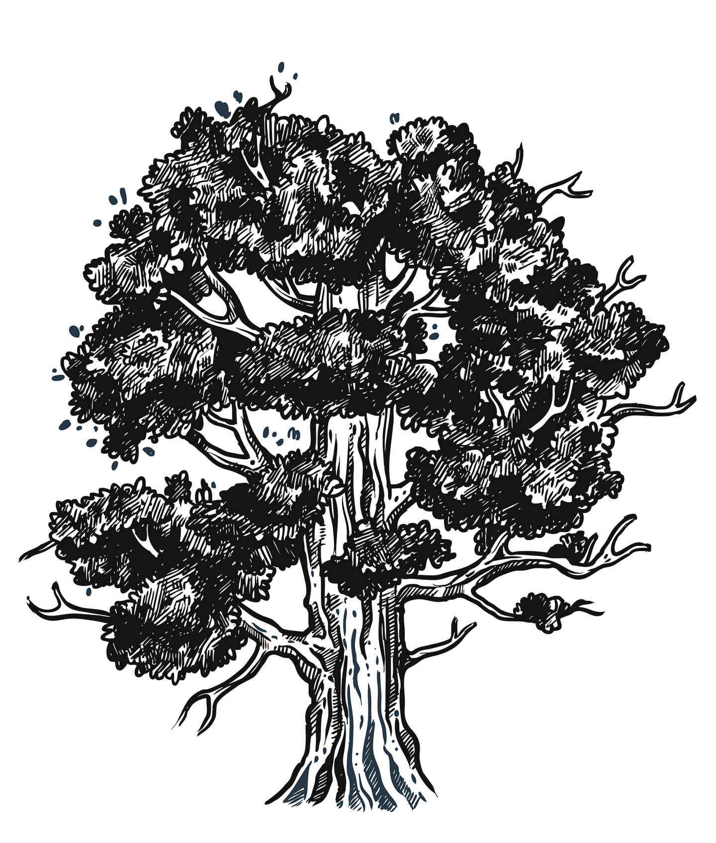 Trees for Bees | SUGi