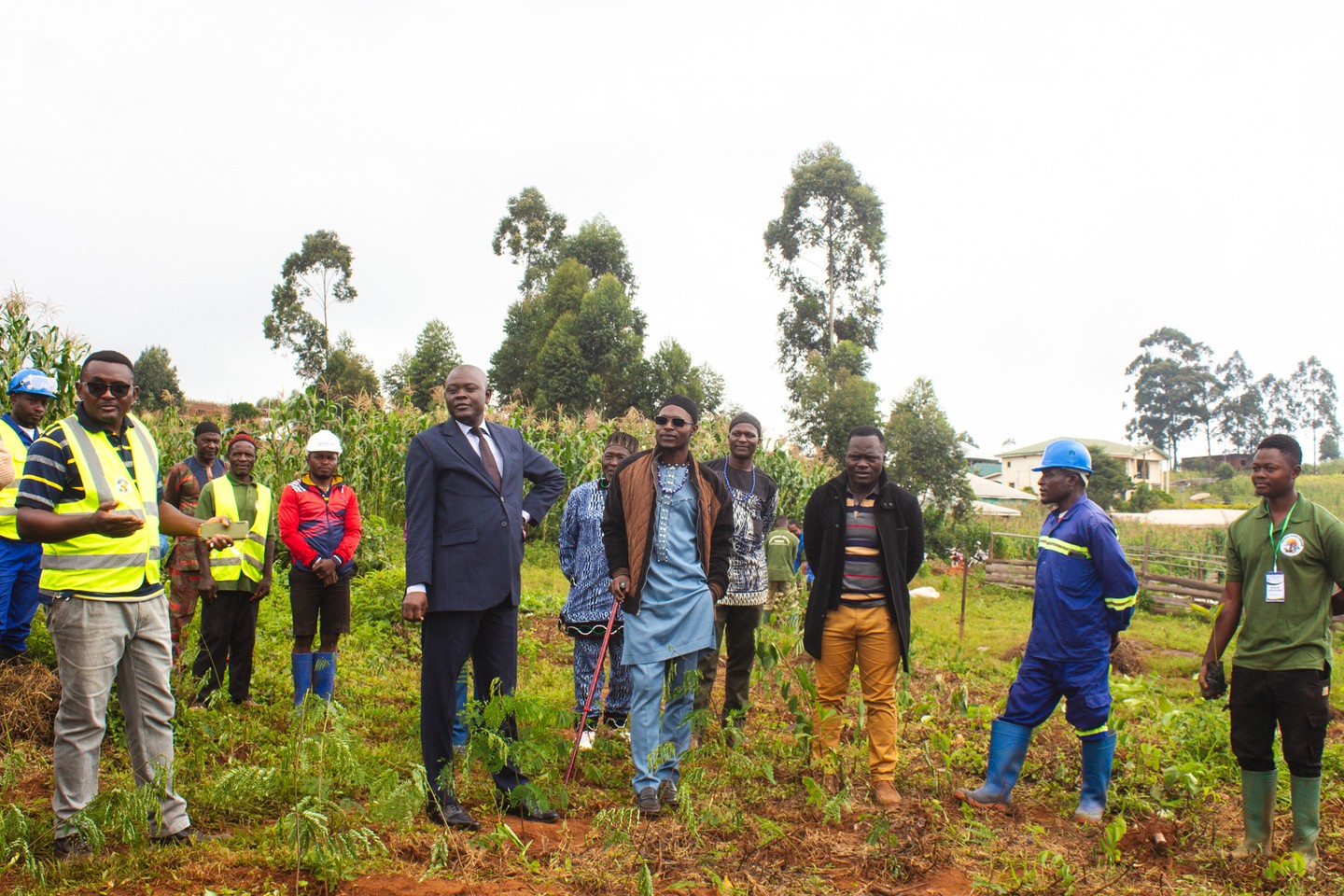 Nkambe River Revival Forest | SUGi