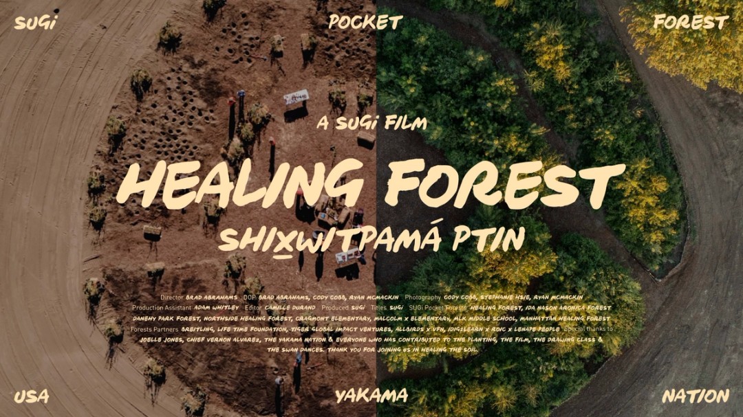 Film Premiere: Healing Forest | SUGi