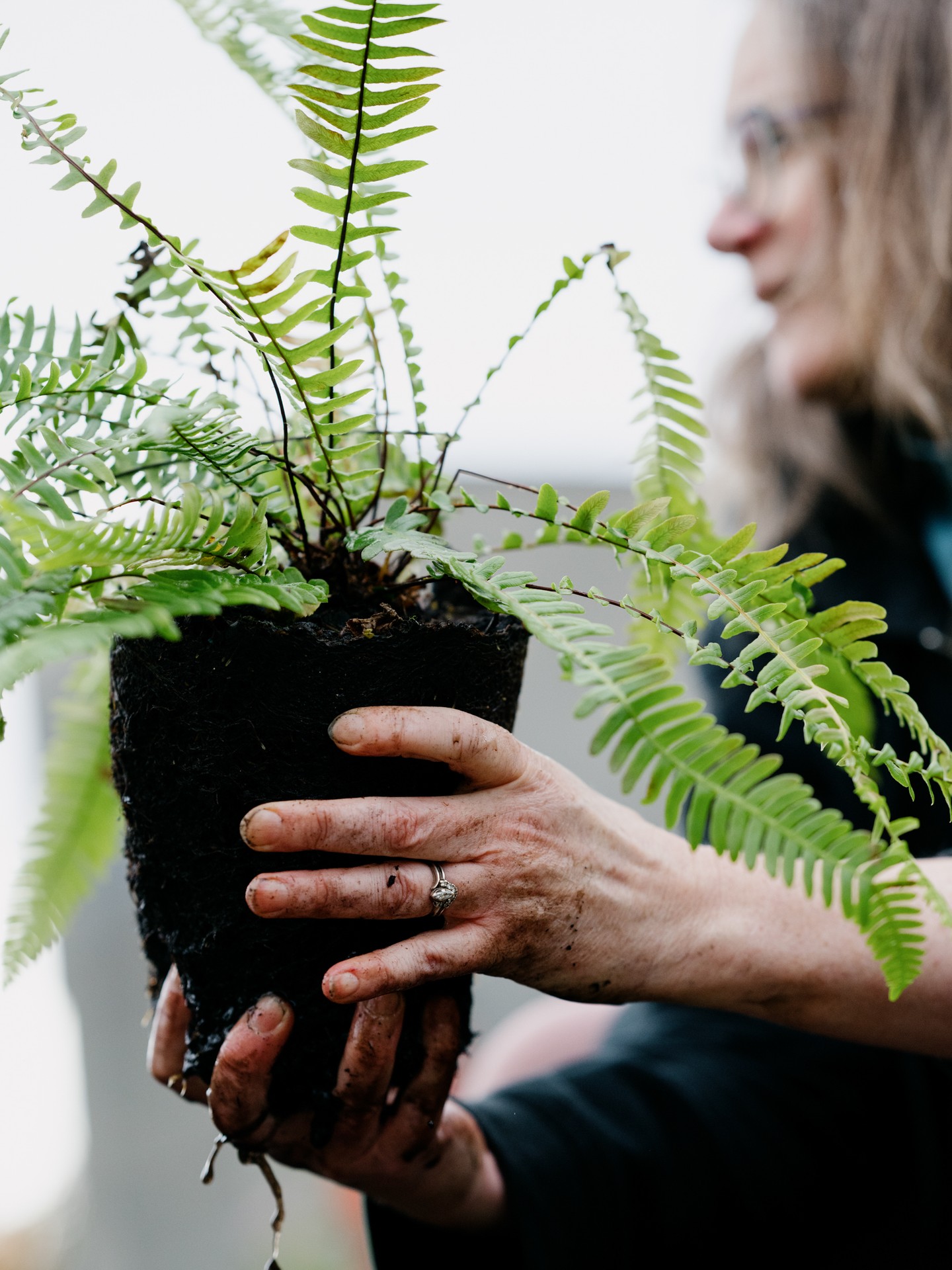 Seattle Unity Forest | SUGi