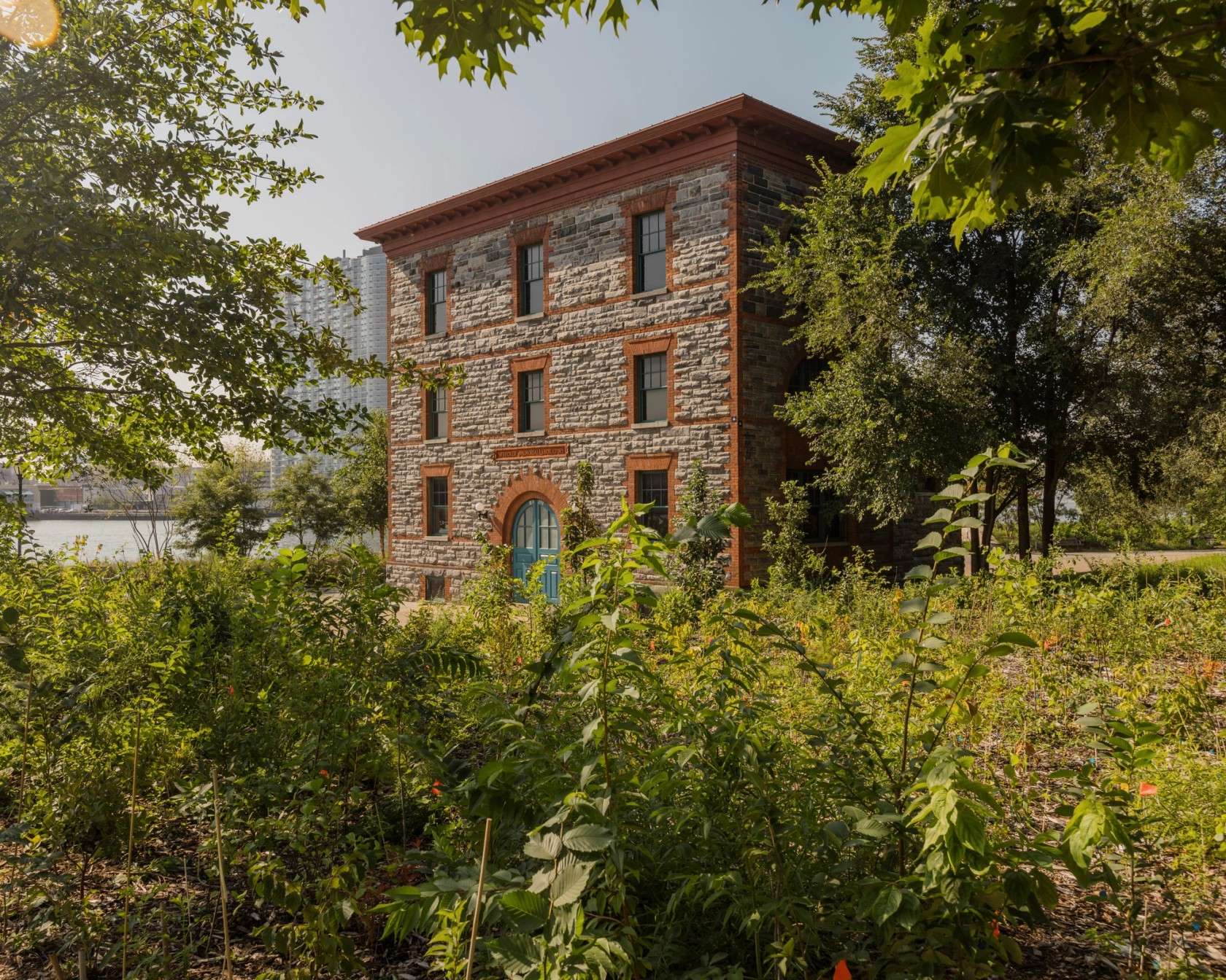 Manhattan Healing Forest | SUGi