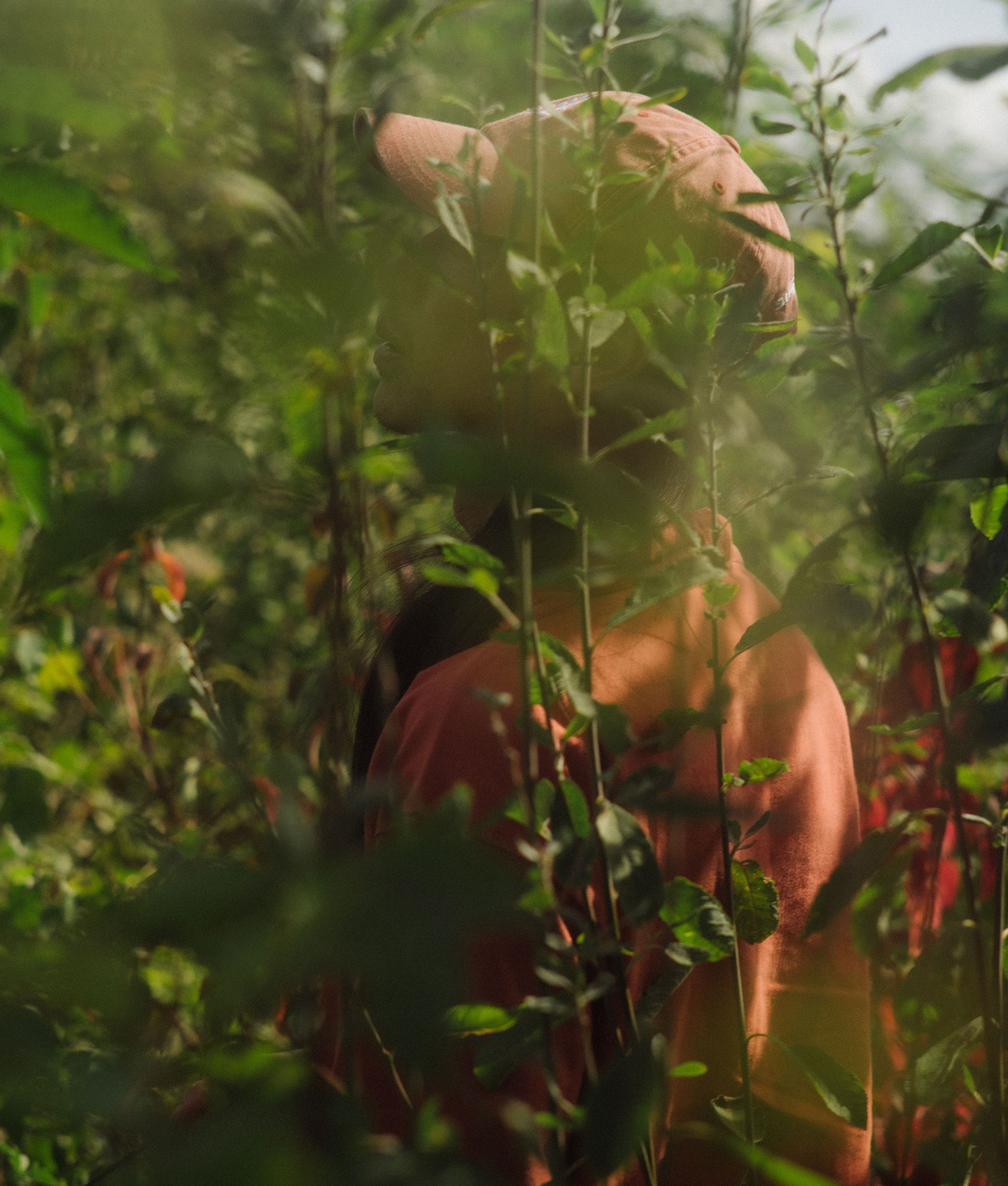 Forest of Thanks | SUGi