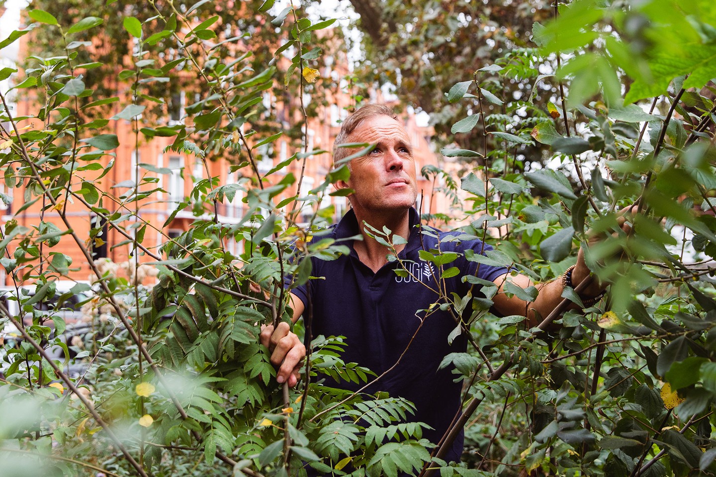 Louis Vuitton | SUGi