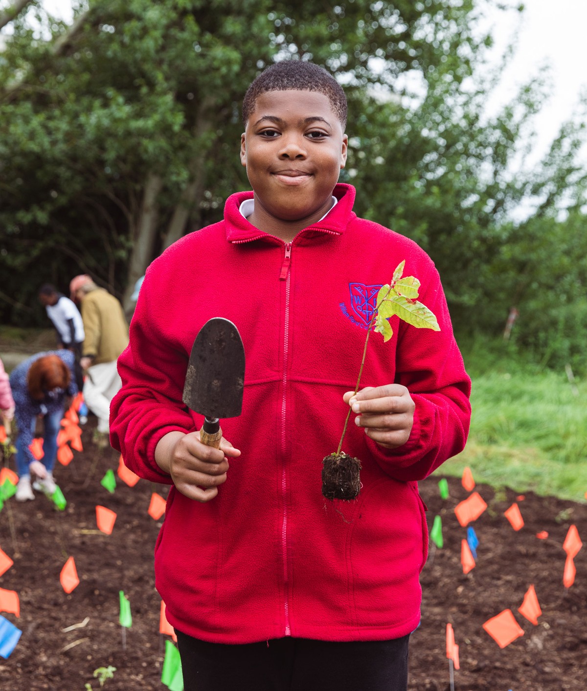 Harmony Forest | SUGi