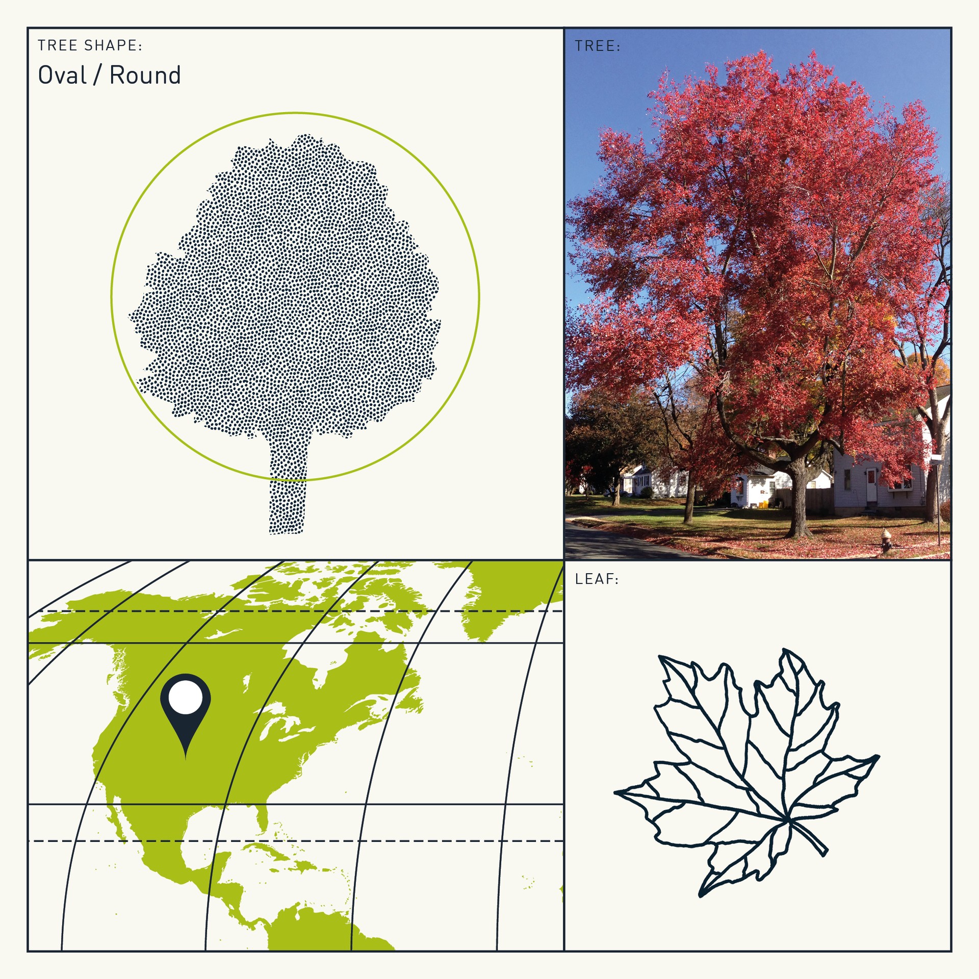 SUGi Tree Guide: Tree Shapes | SUGi