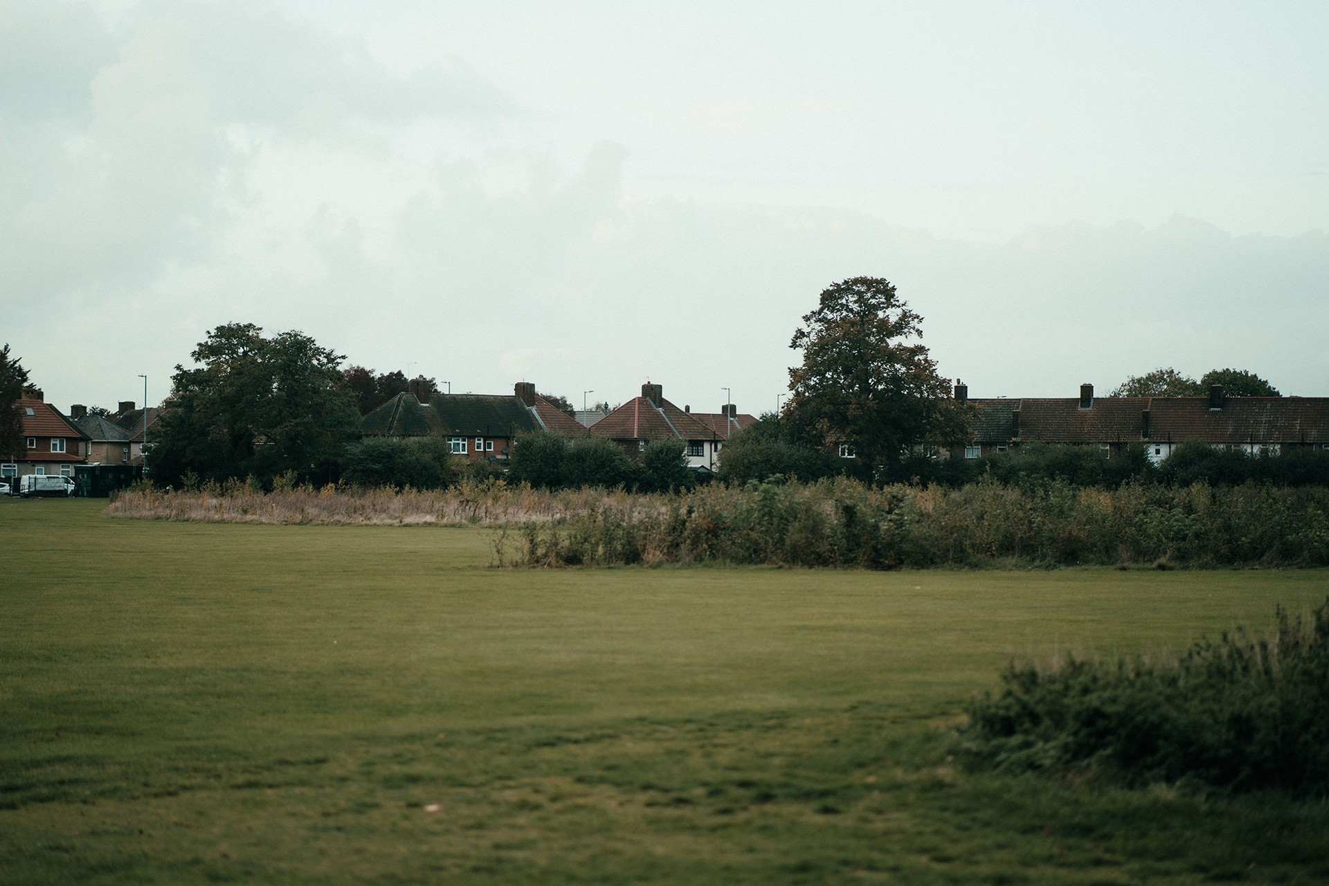 Forest of Thanks | SUGi