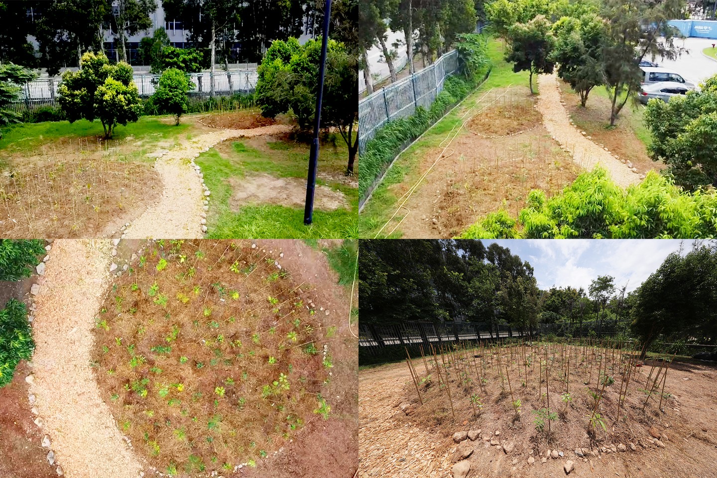 WEEE · Park Forest | SUGi