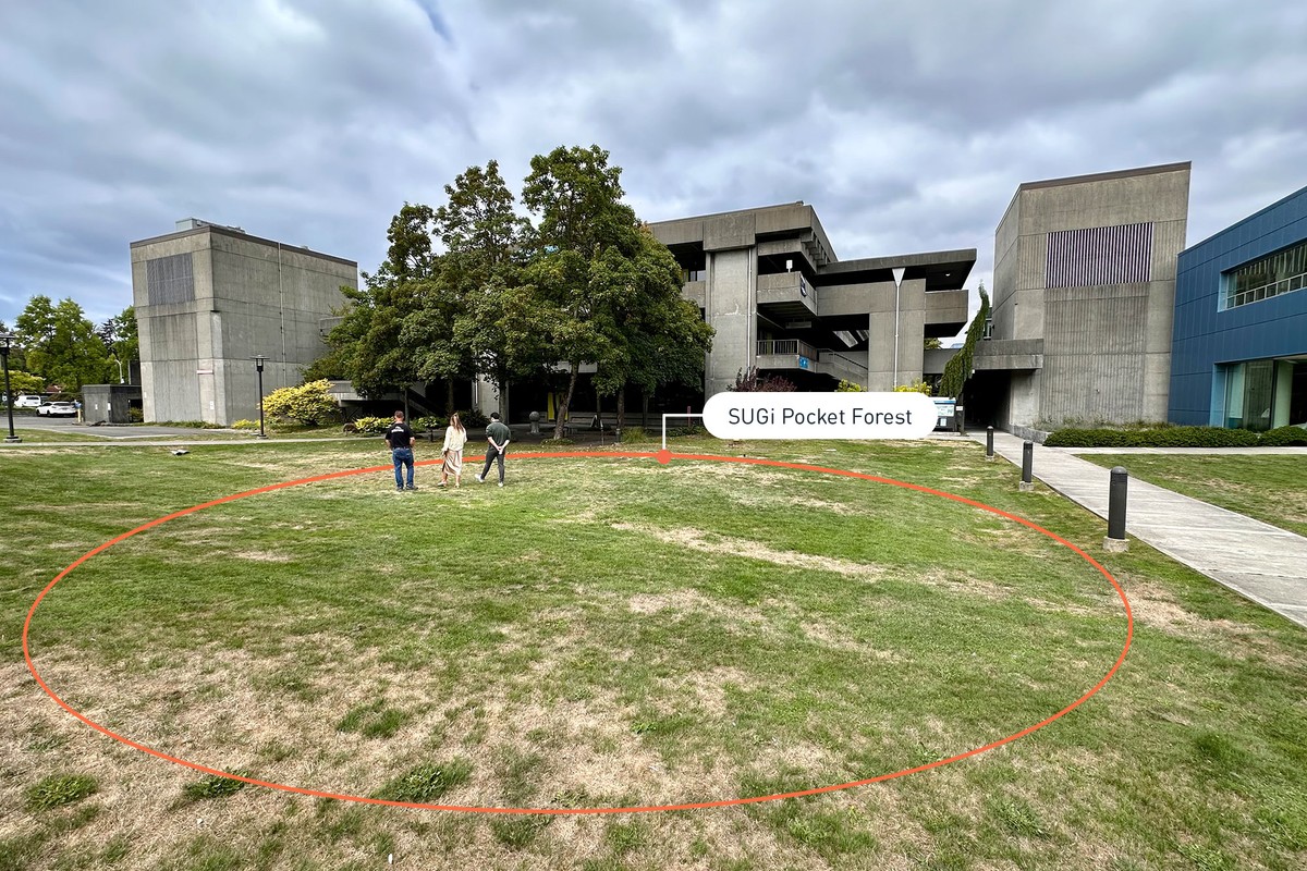 Seattle Unity Forest | SUGi