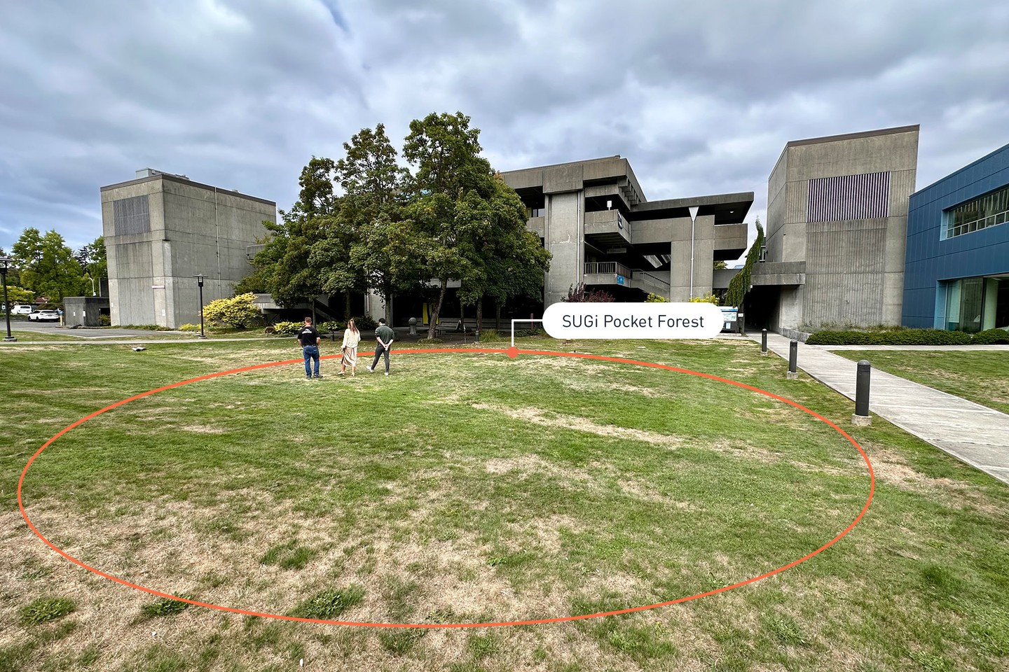 Seattle Unity Forest | SUGi