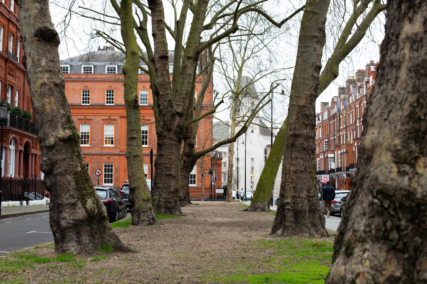 Heritage Forest | SUGi