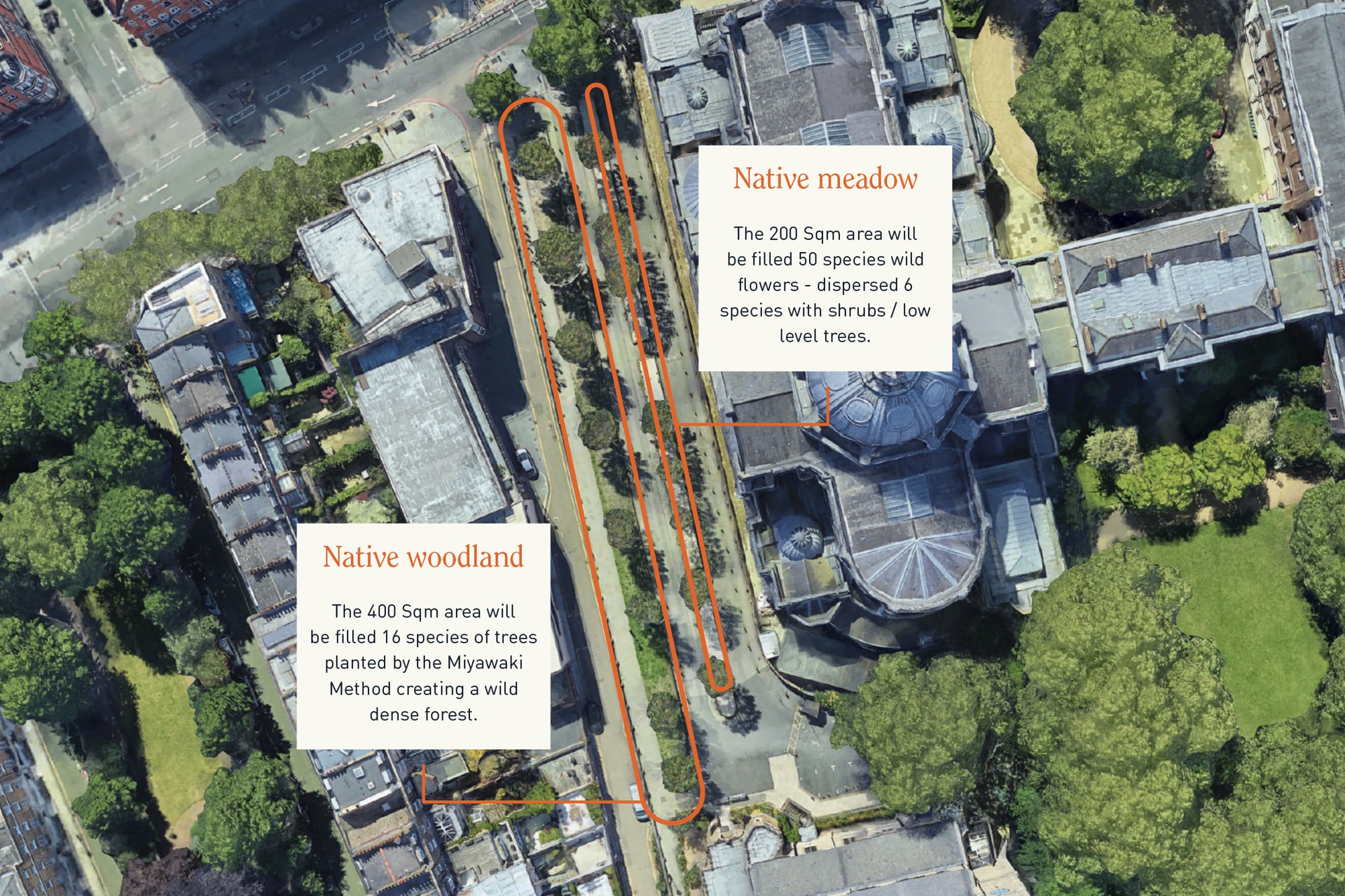 Holy Trinity Brompton - Natura Nostra Forest | SUGi