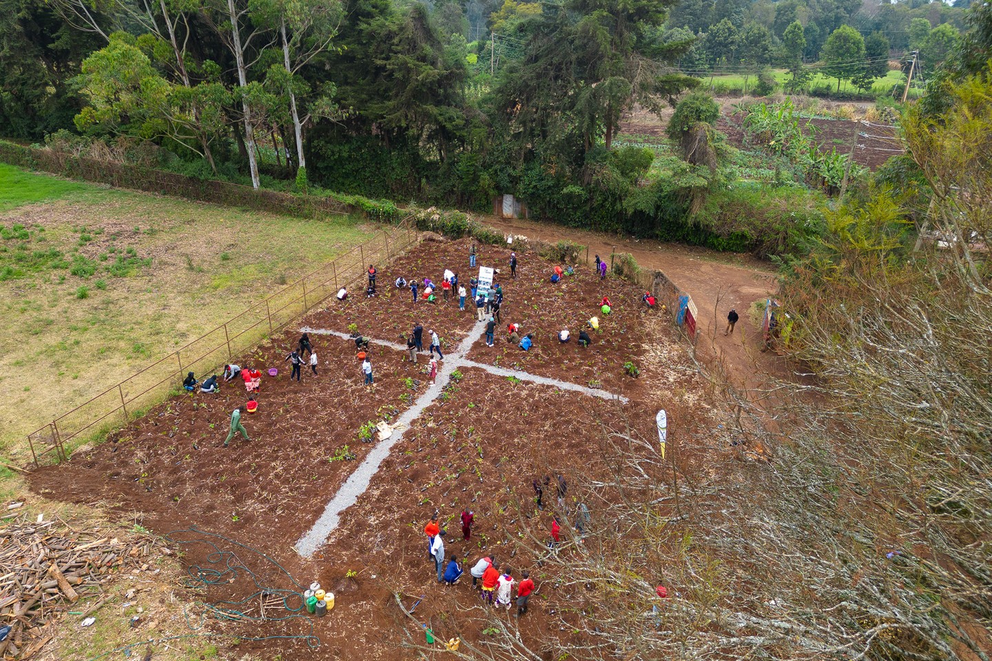 St Paul’s Unity Forest | SUGi