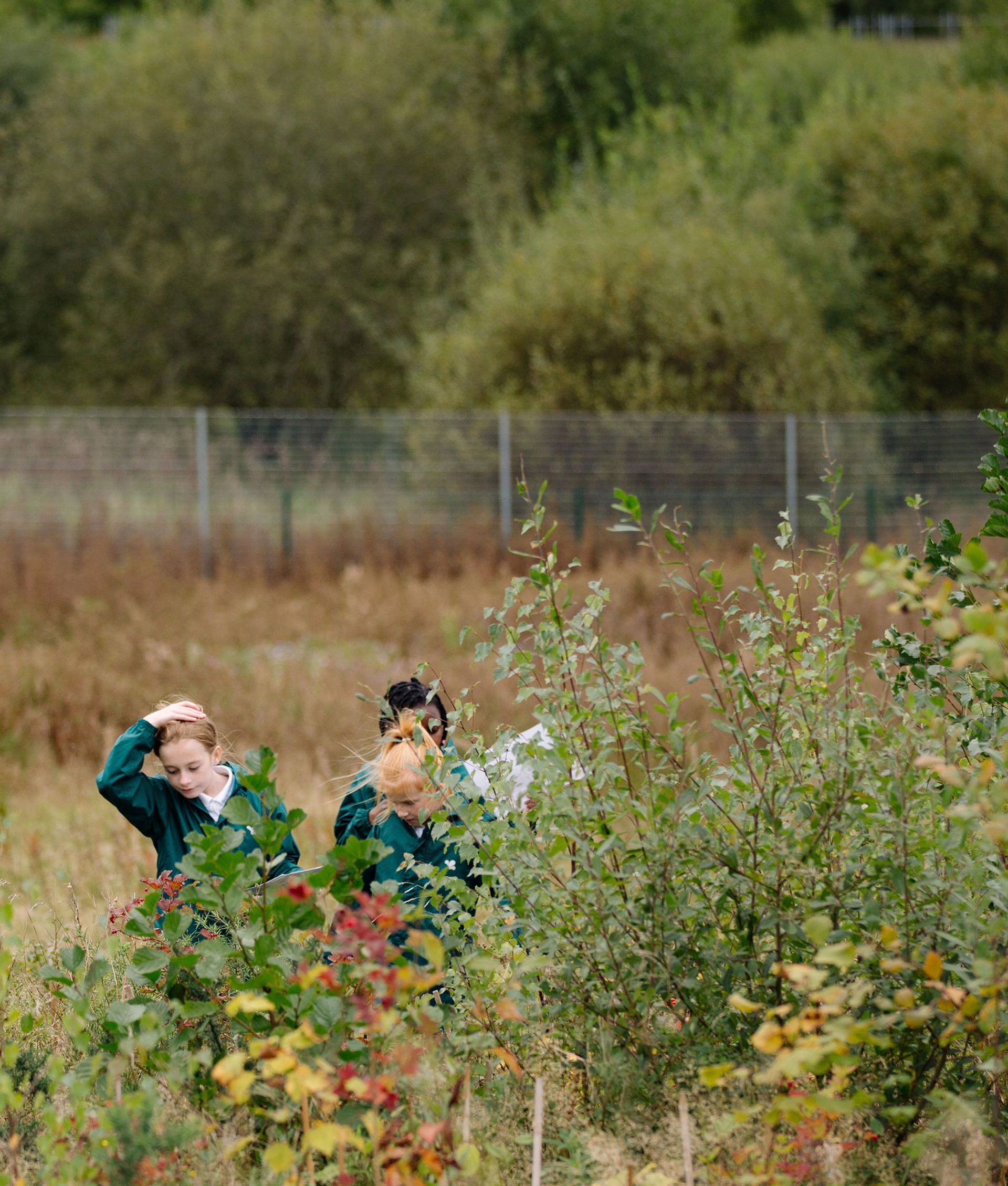 Oakwood Primary Forest | SUGi