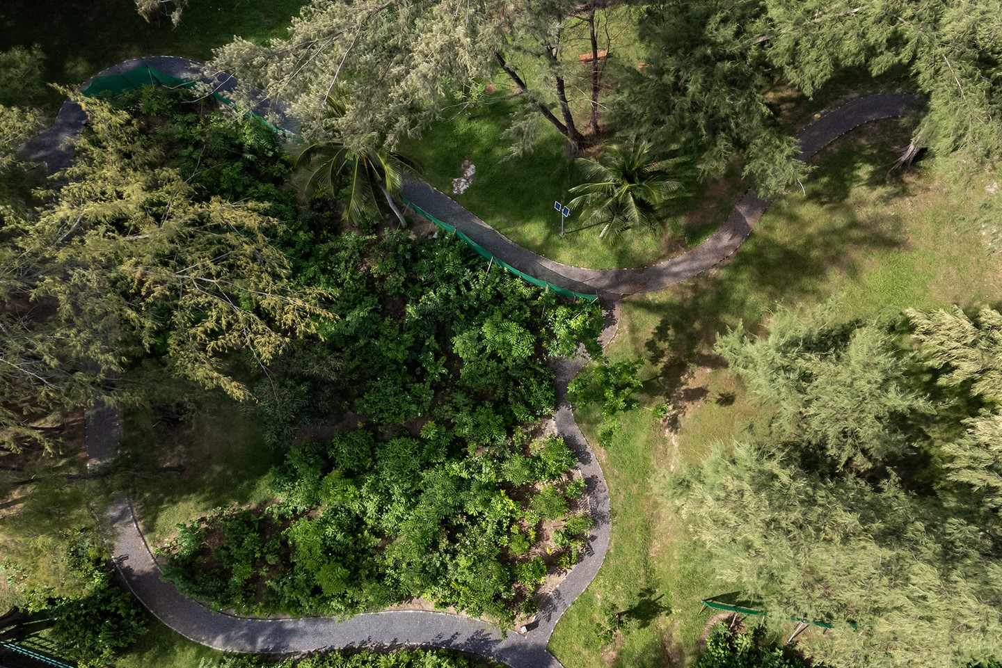 Laguna Legacy Forests | SUGi