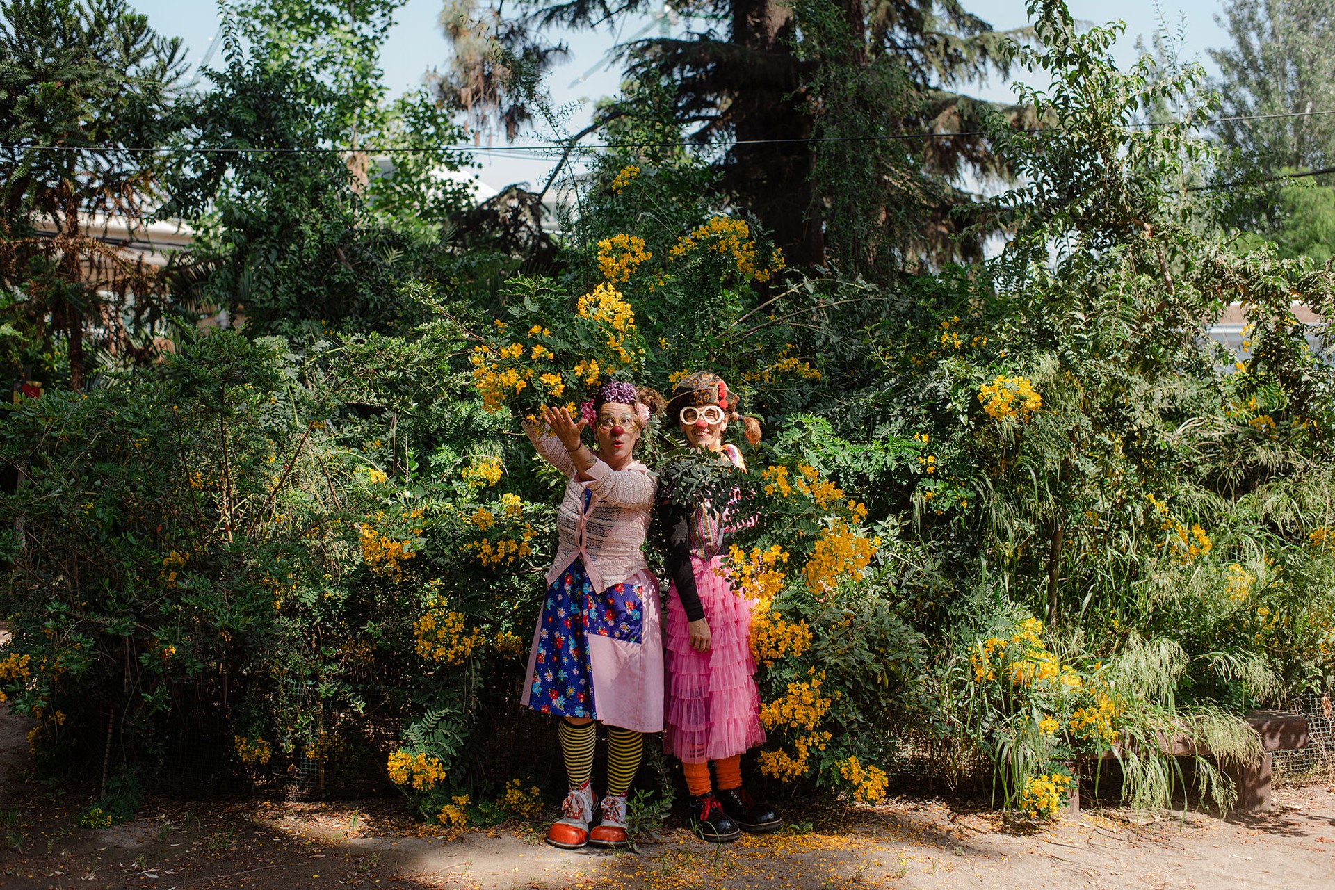 What Makes a Pocket Forest Thrive? People. | SUGi