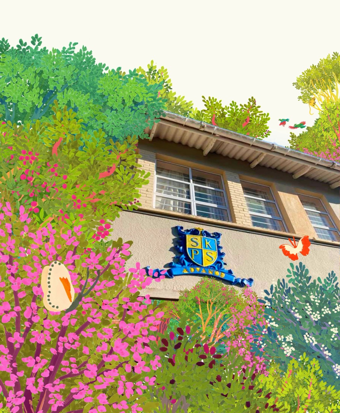 Schotsche Kloof Forest | SUGi