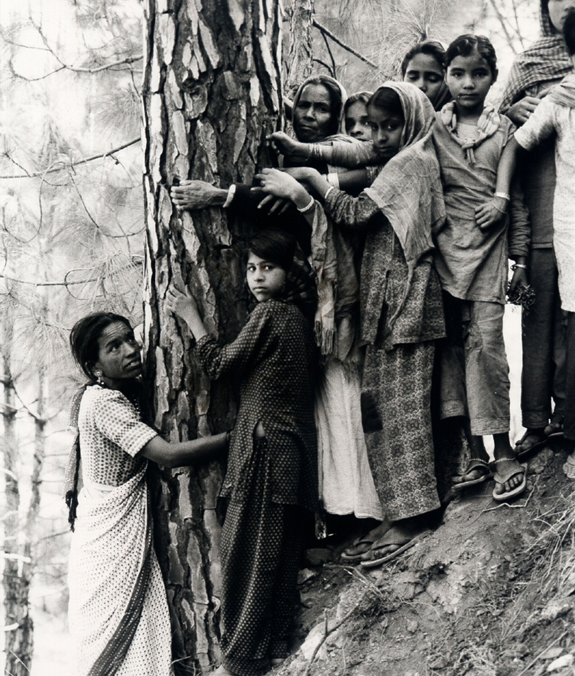 The Chipko Movement | SUGi