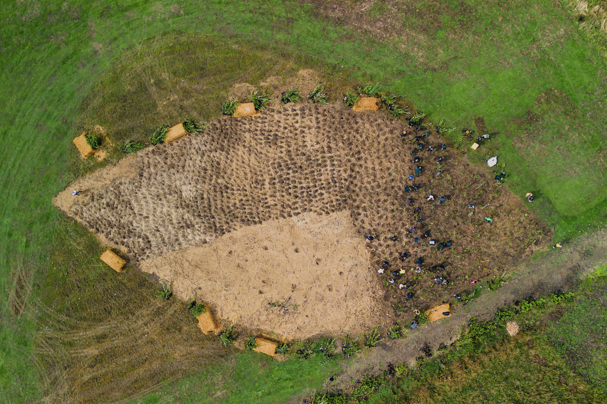 The USA has 40 million acres of lawn | SUGi