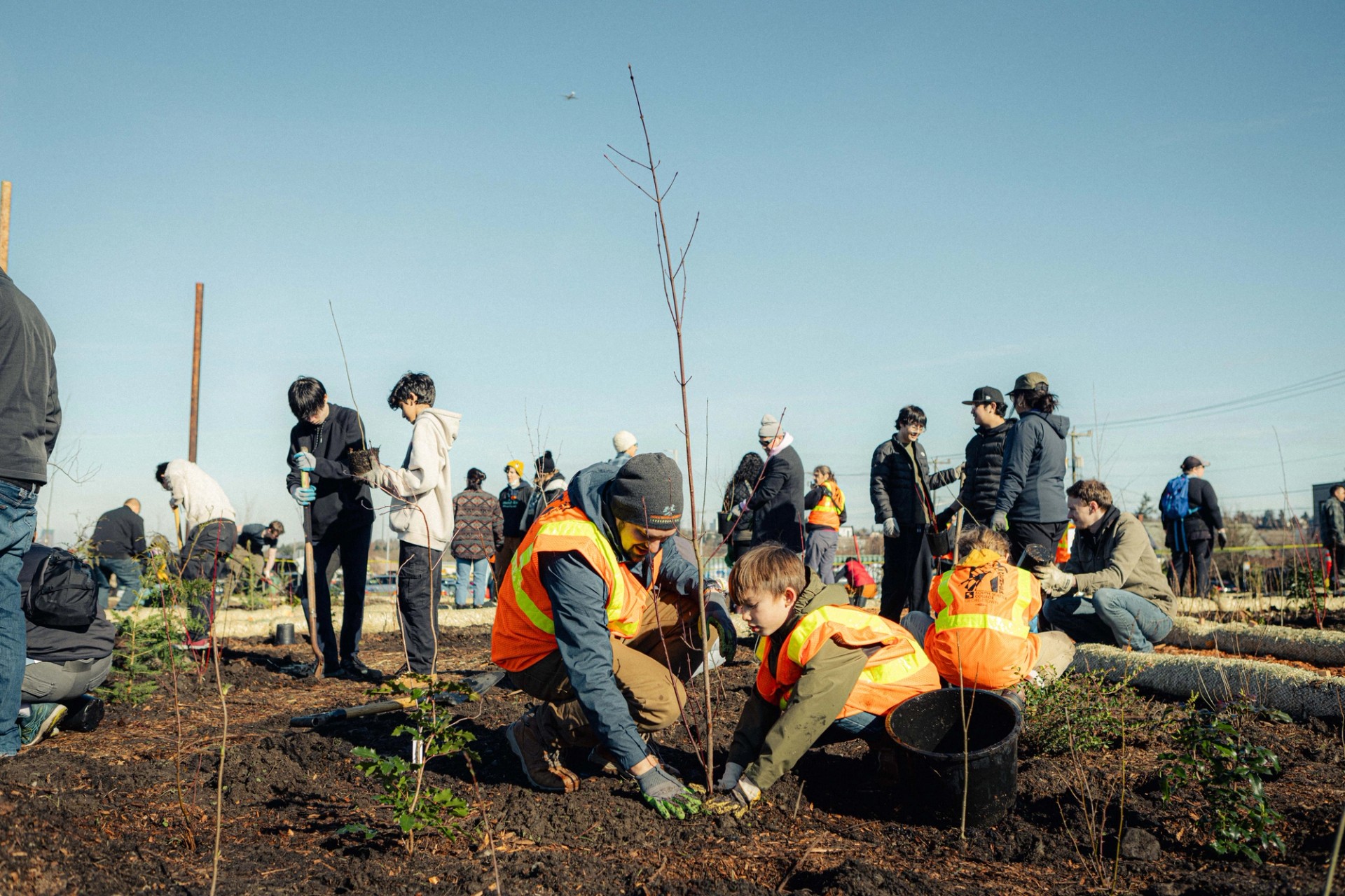 Georgetown Community Forest | SUGi